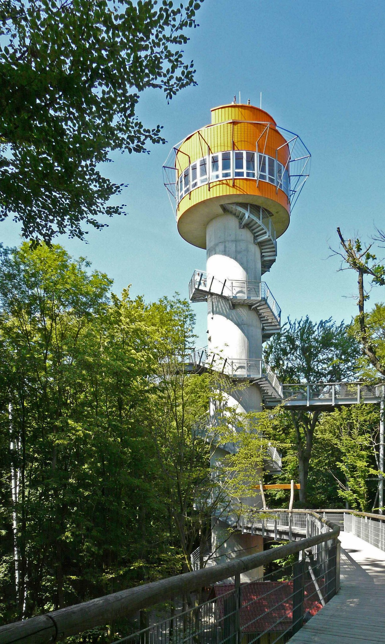 Dem Wald aufs (Blätter)-Dach steigen - Ebsdorfergrund