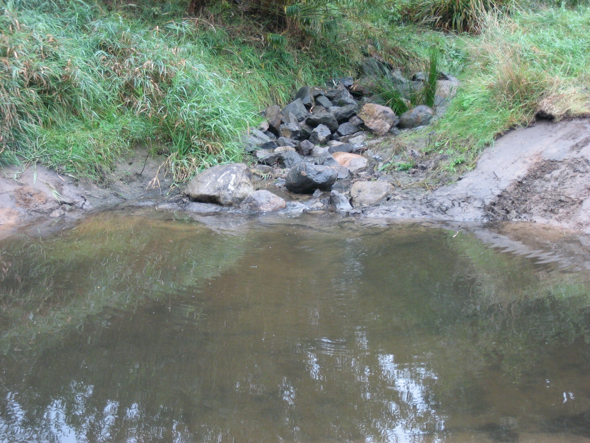 Regenrückhaltebecken Blumenauer Kirchweg - Wunstorf