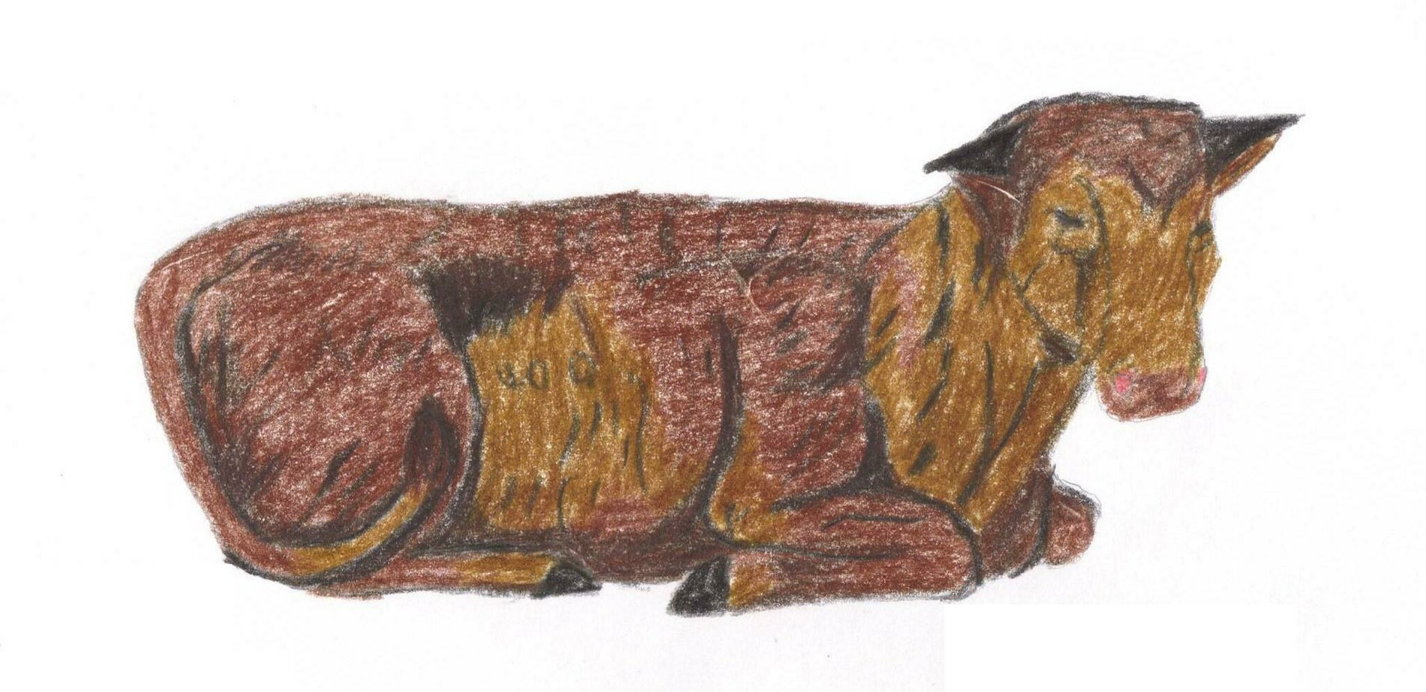 Weihnachtskrippe (21.12.2008) Der Ochse (11 Figur ) - Langenhagen