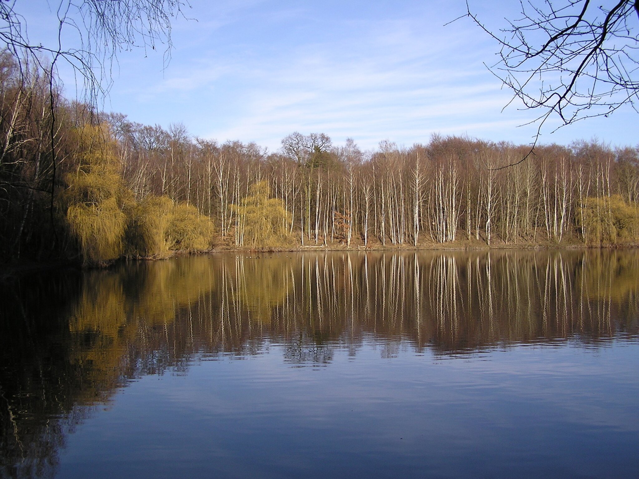Heute Nachmittag am Teich bei Bülten - Ilsede
