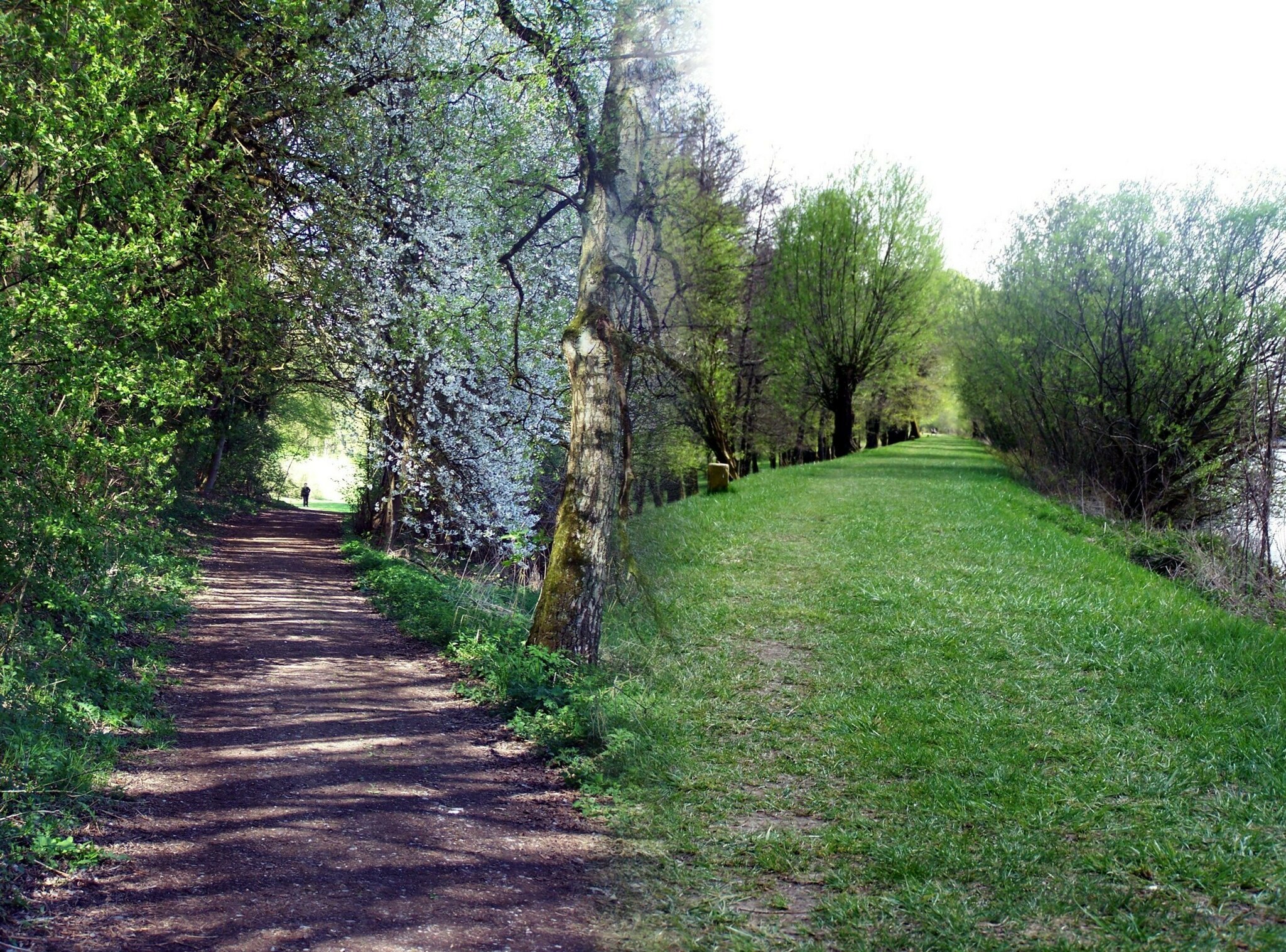 Der Weg und sein Ziel...... - Krumbach