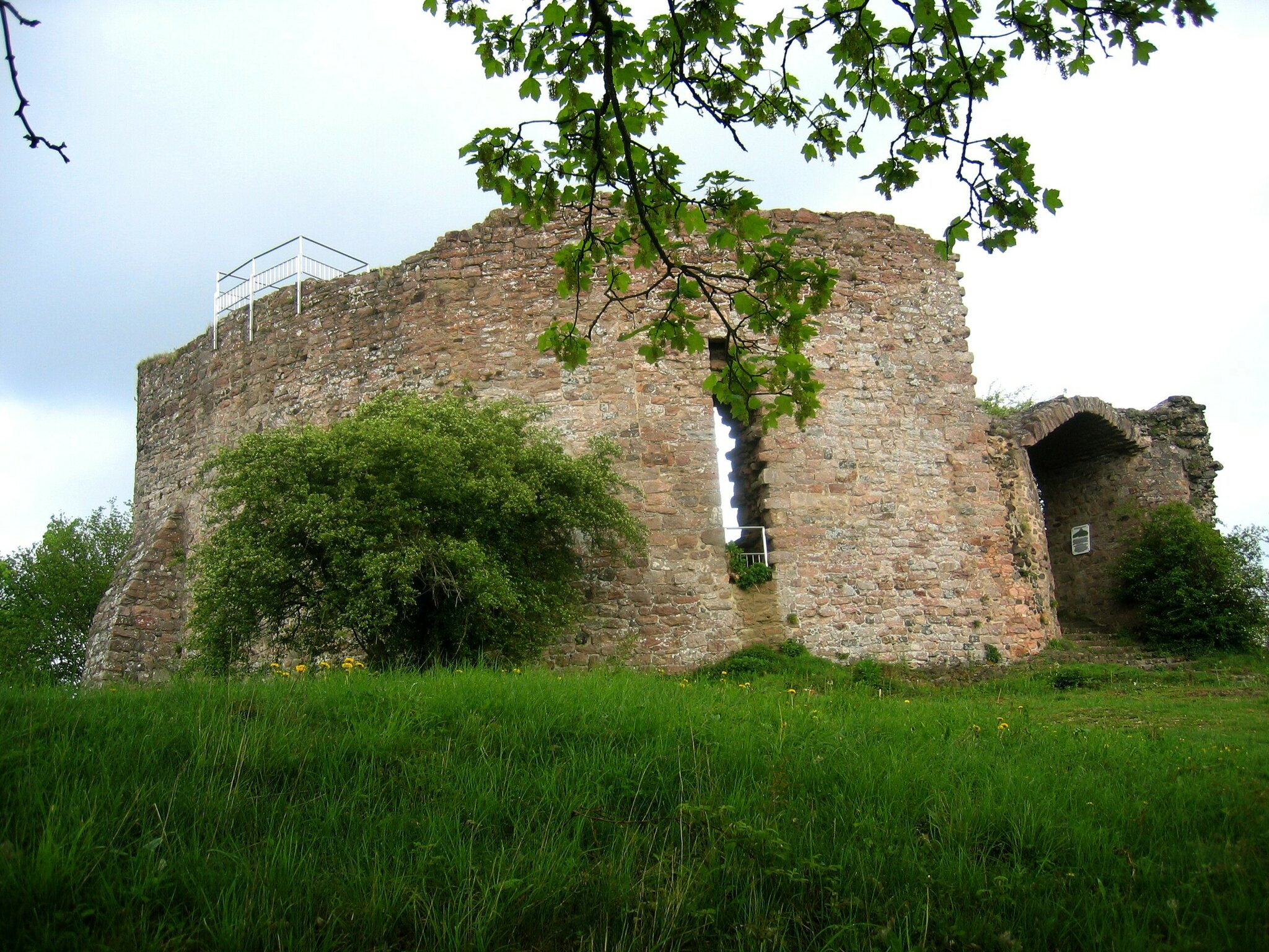 Burgruine Frauenberg - Marburg