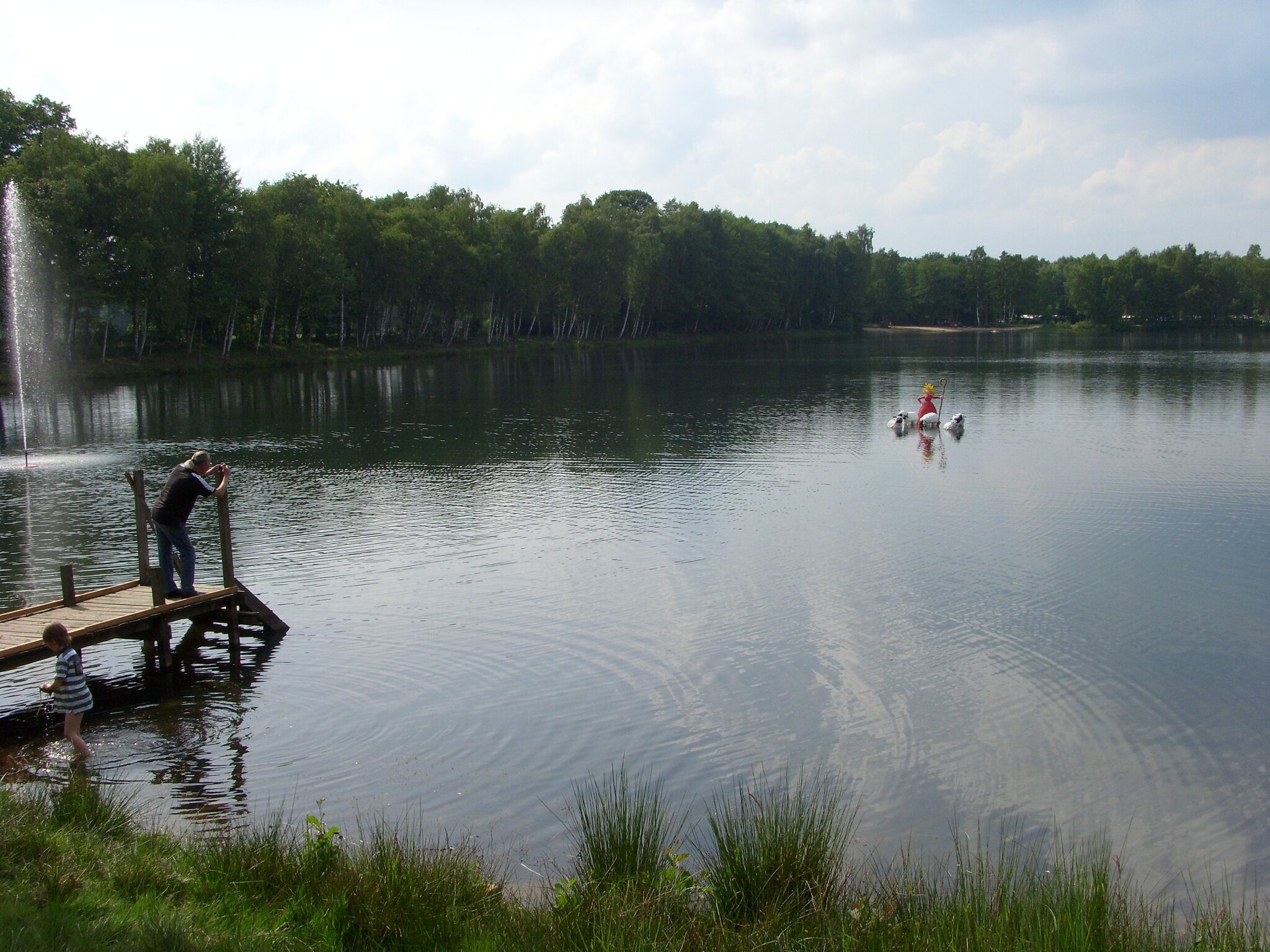 Augenzwinkern | See | Schafe - Langenhagen