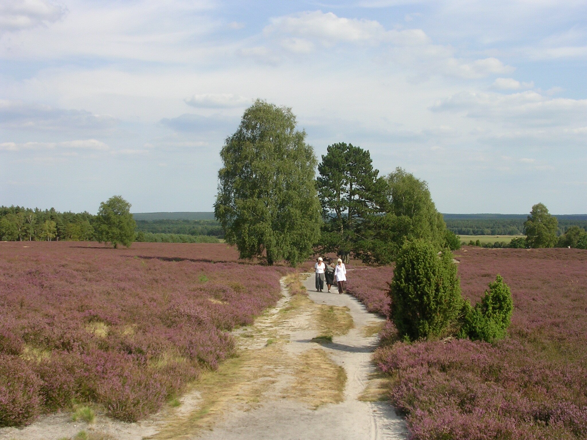 Hermann Löns, es brennt die Heide…….. - Uetze