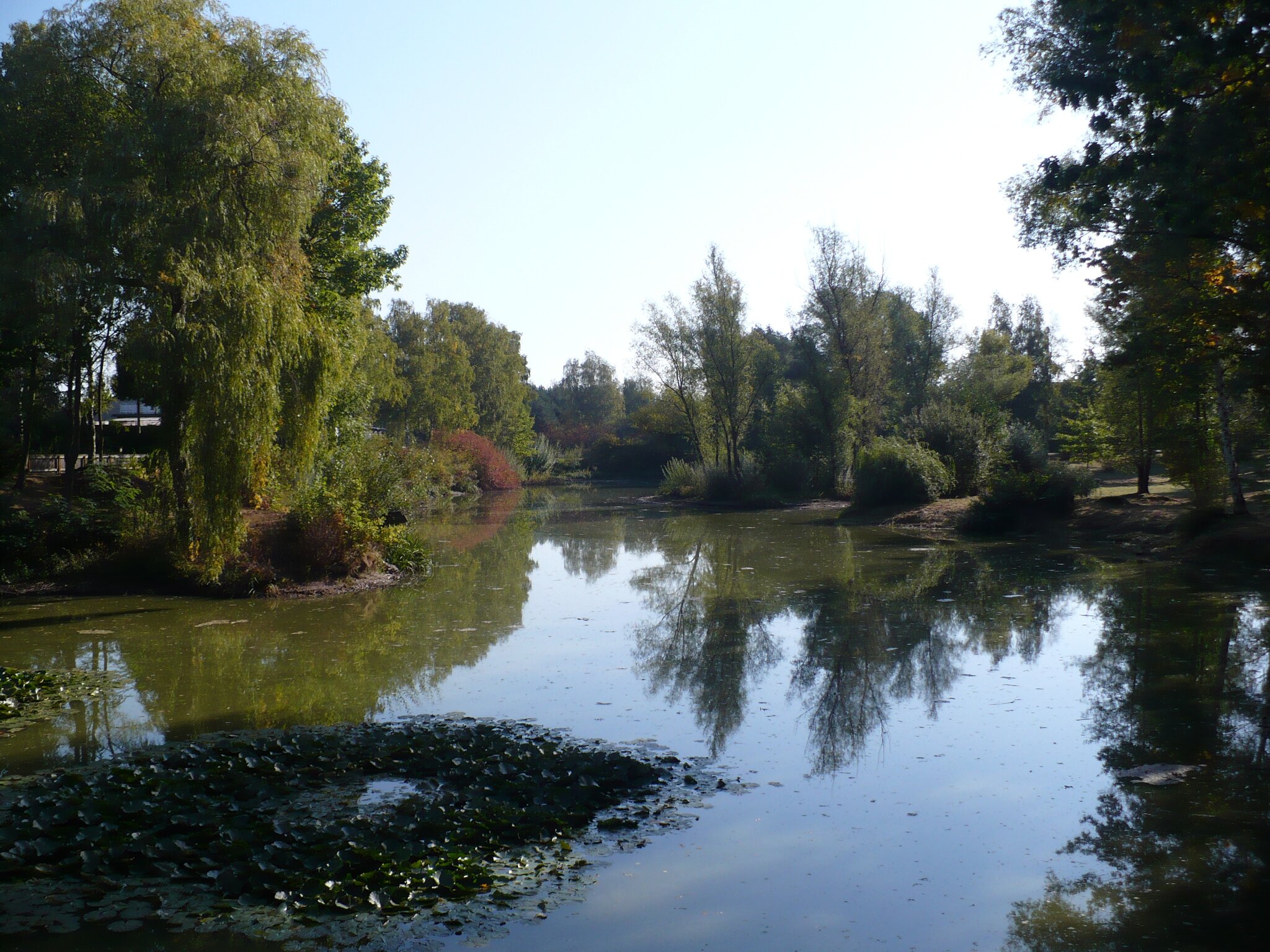 Gemeindekönigsschießen der Gemeinde Uetze - Uetze