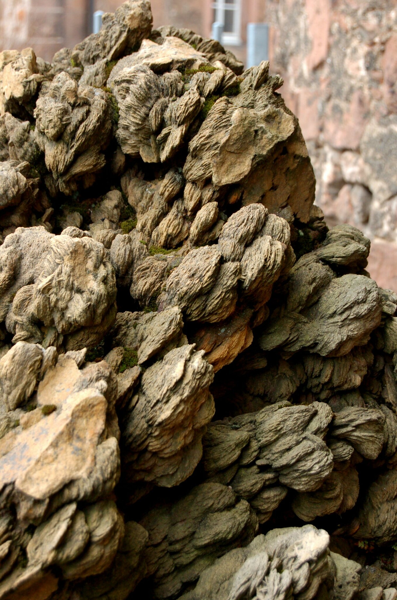 Die geheimnisvolle Welt der Steine: Das Mineralogische Museum in ...