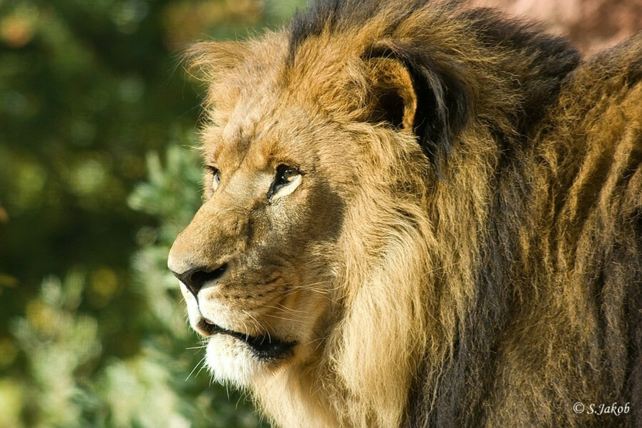 Bilder Zoo Hannover - Neustadt am Rübenberge