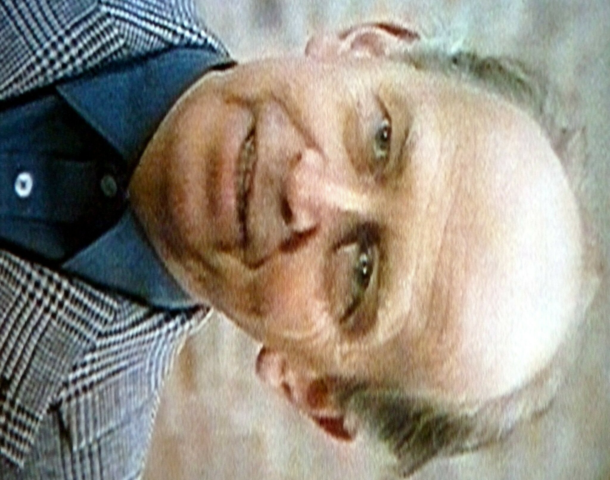 GRATULATION! Chaos-Forscher Prof. Dr. Dr. h.c. Siegfried Großmann ...