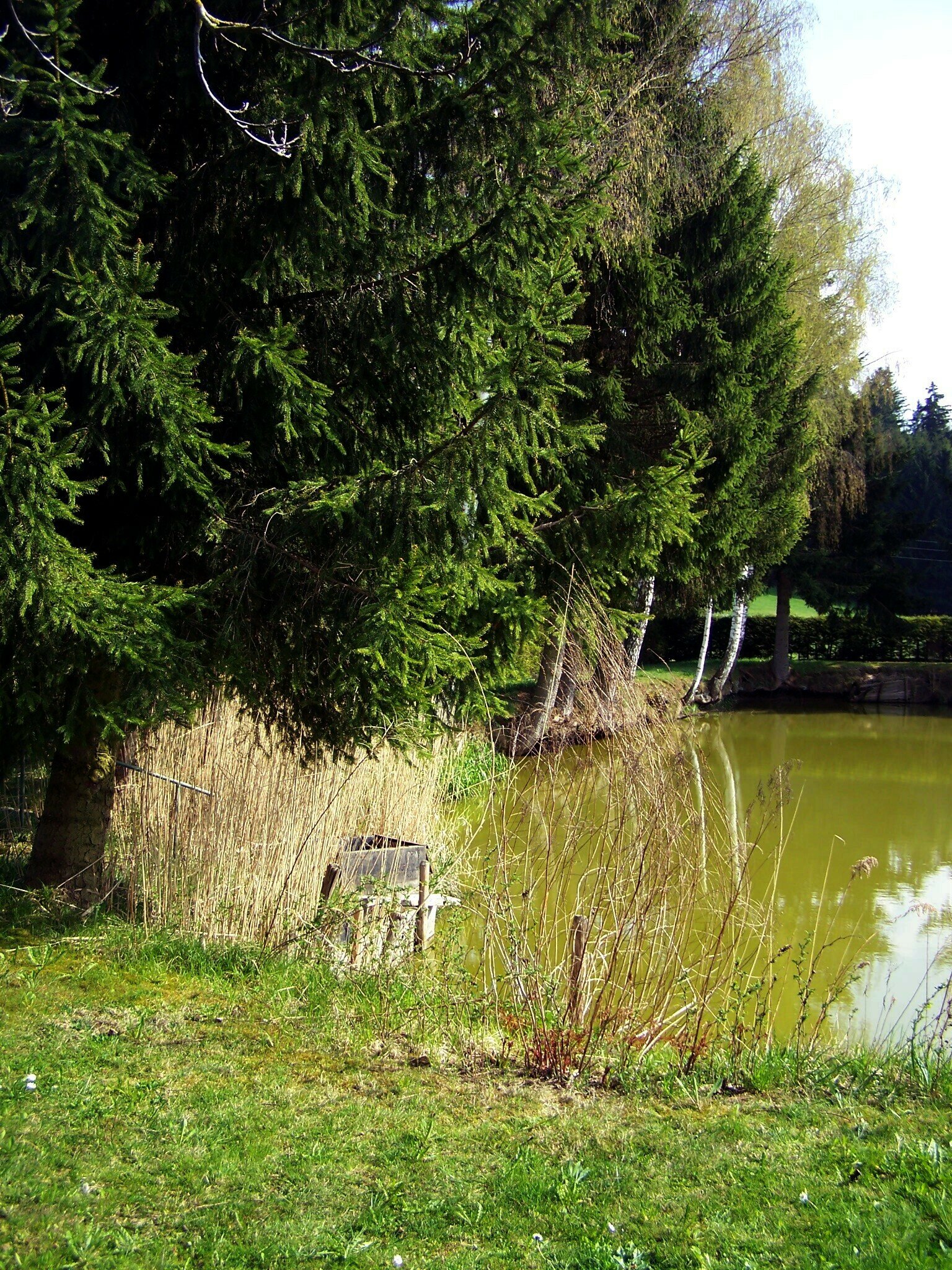 Am Königsweiher - Krumbach