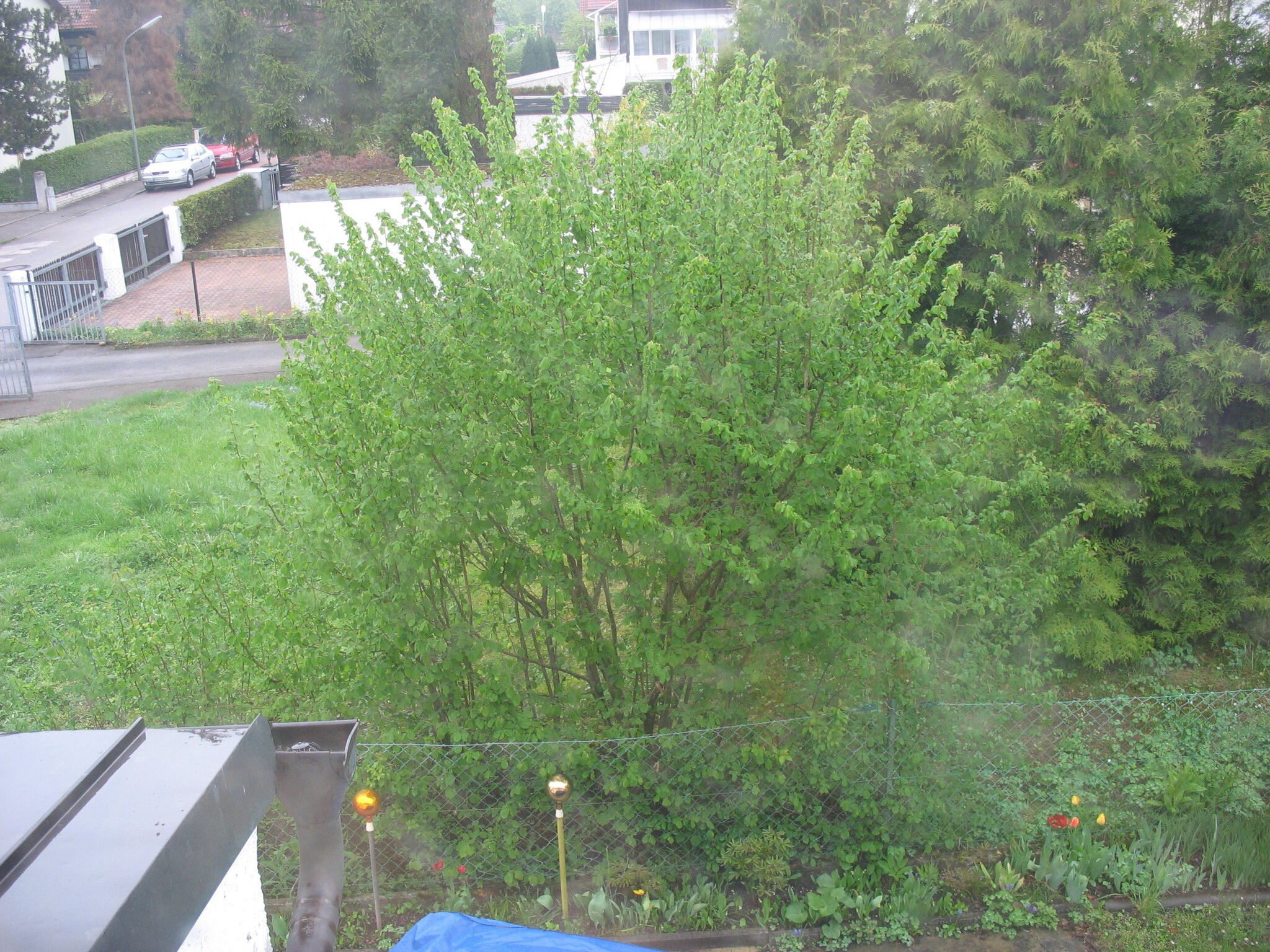 Frühling in Waldperlach, Teil 70 - München