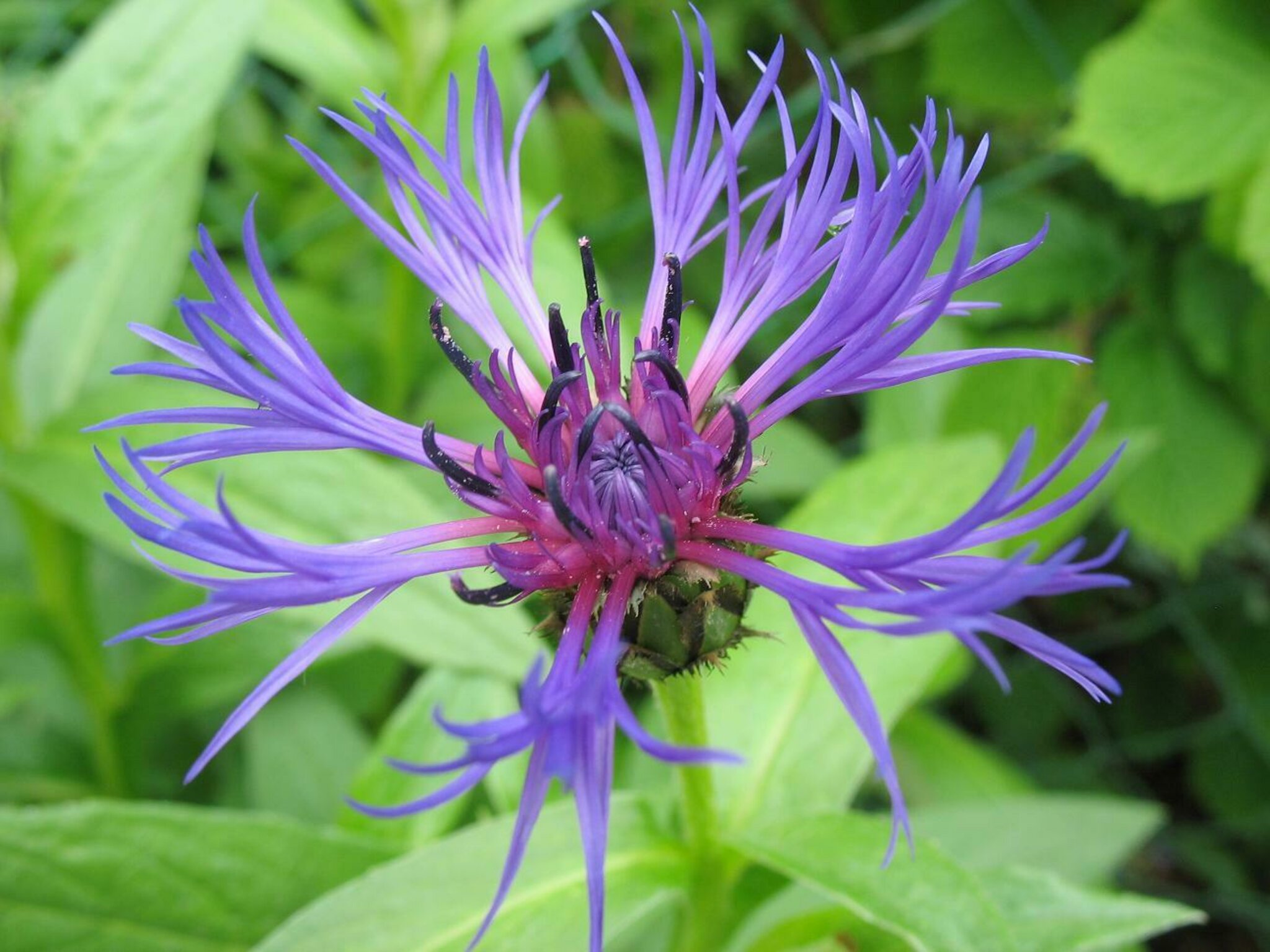 Frühling in Waldperlach, Teil 78 - München
