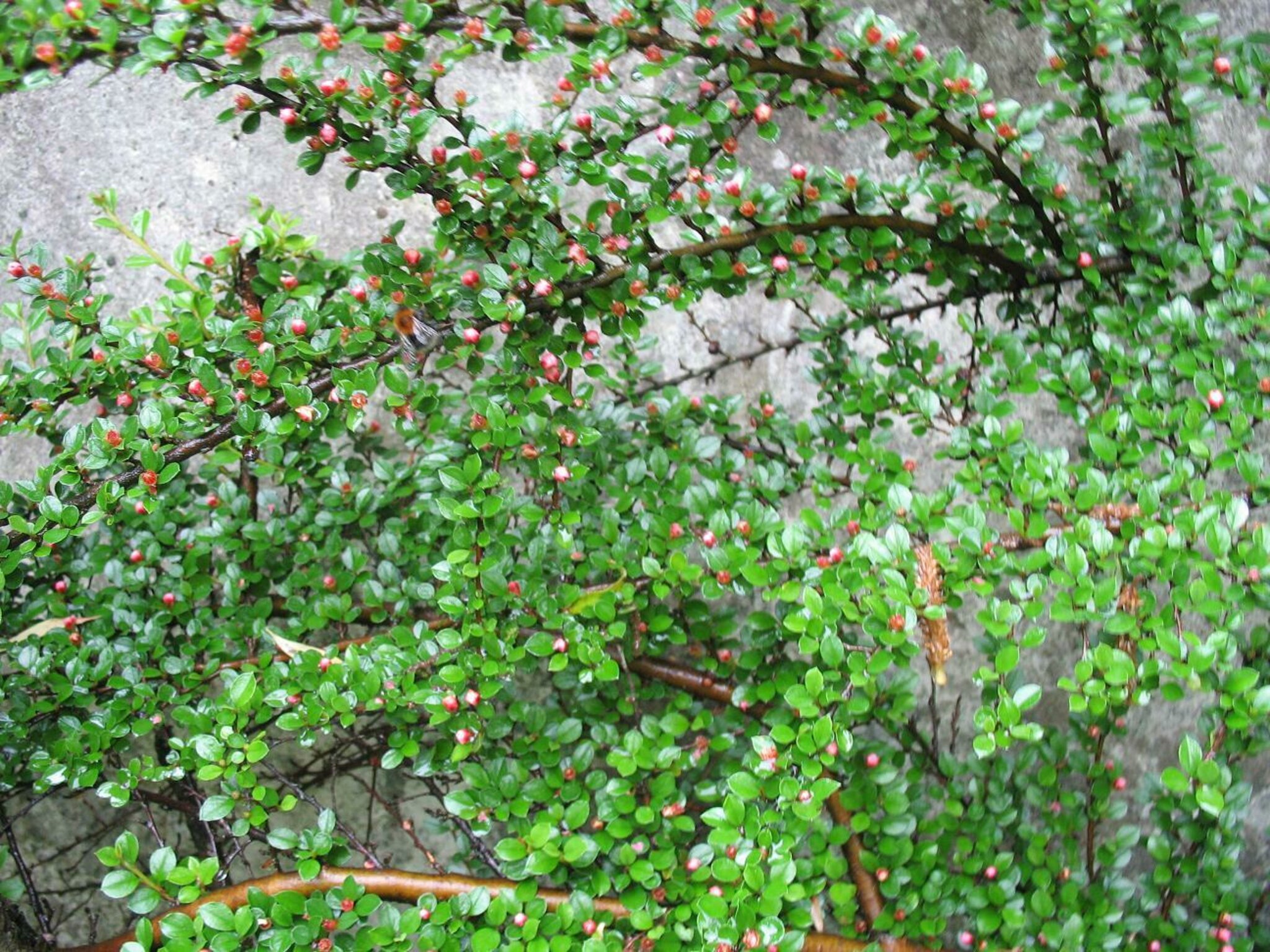 Sommer in Waldperlach, Teil 3 - München