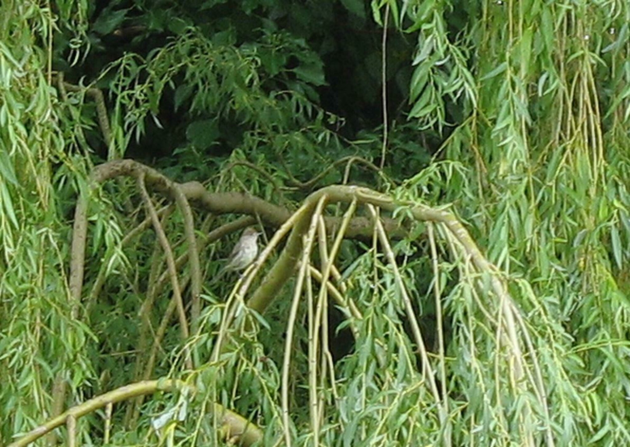 Sommer in Waldperlach, Teil 59 - München