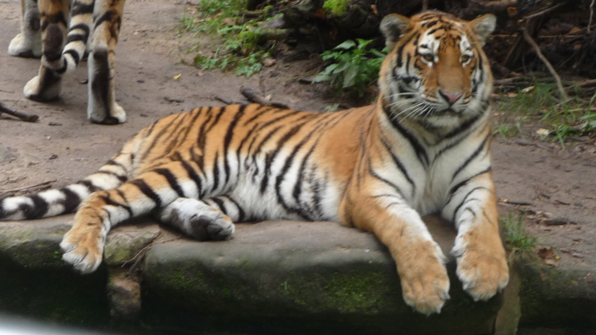 Knax-Club: Besuch im Tiergarten Nürnberg!!!! - Königsbrunn