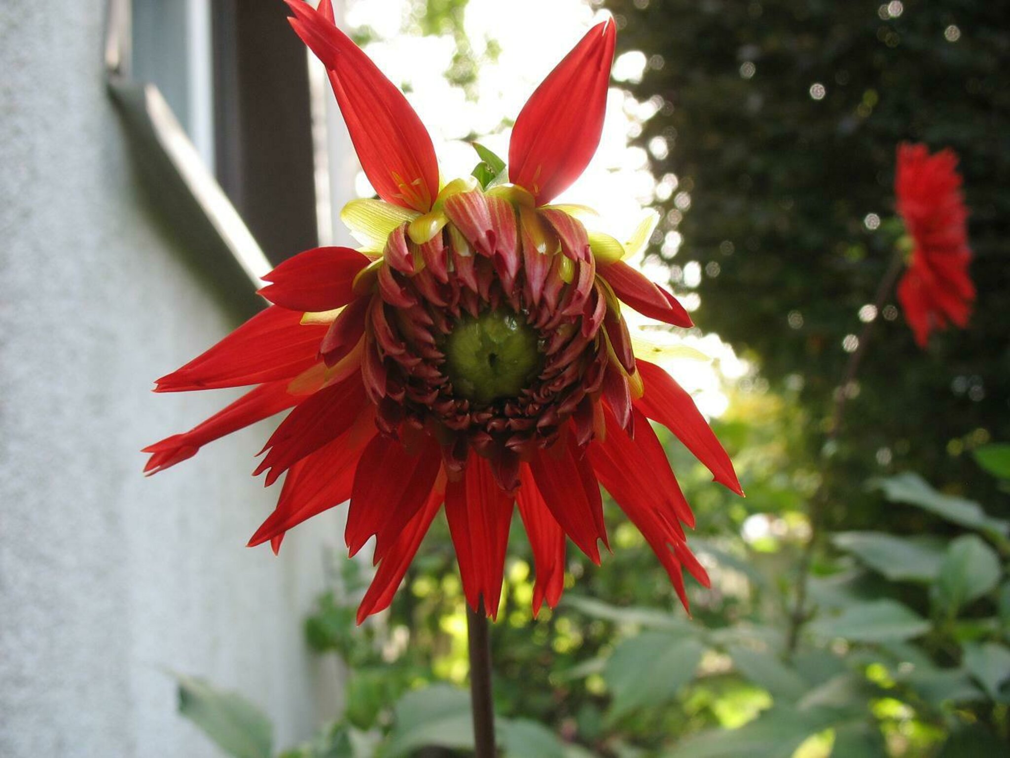 Herbst in Waldperlach, Teil 12 - München