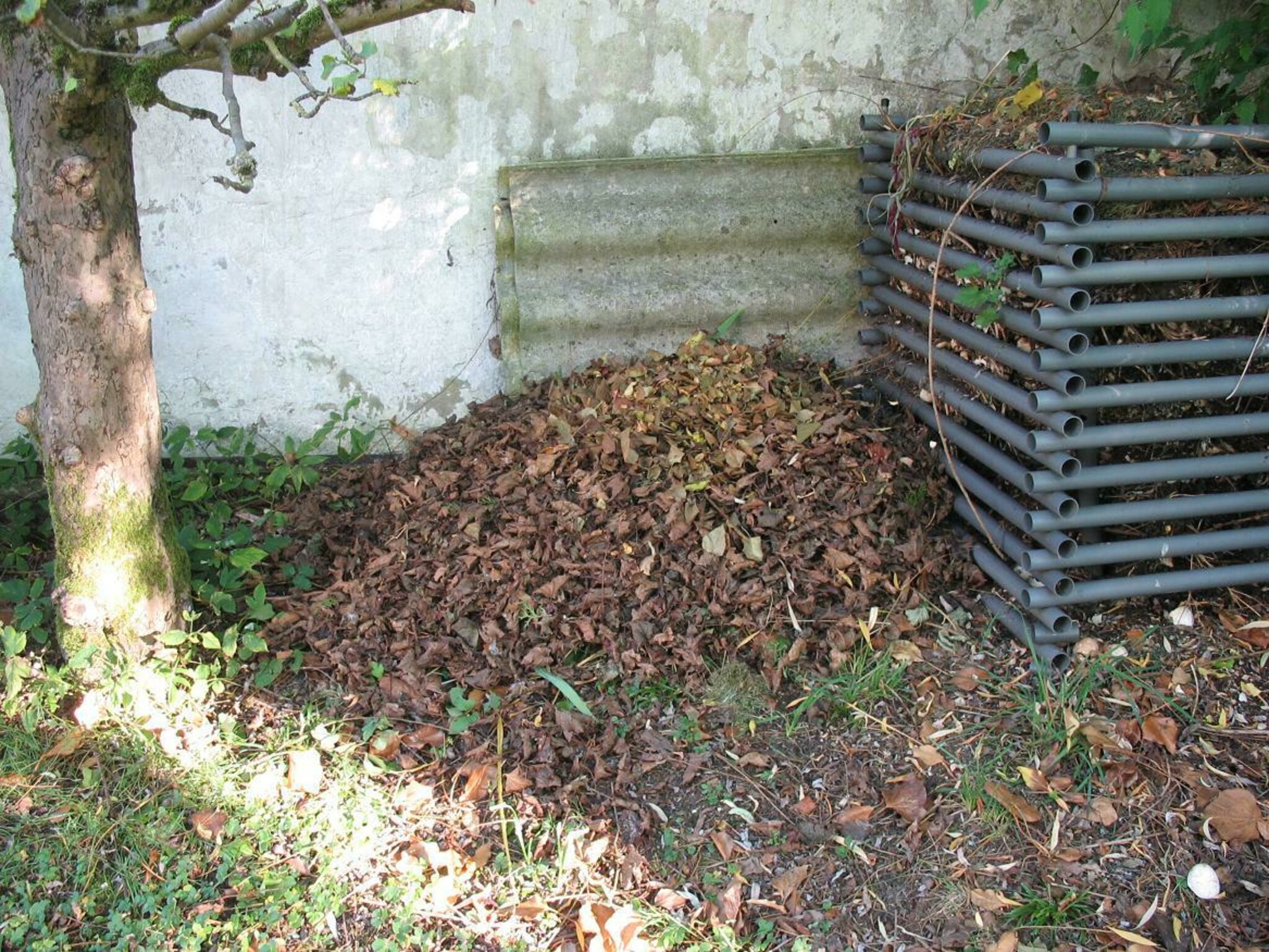 Herbst in Waldperlach, Teil 23 - München