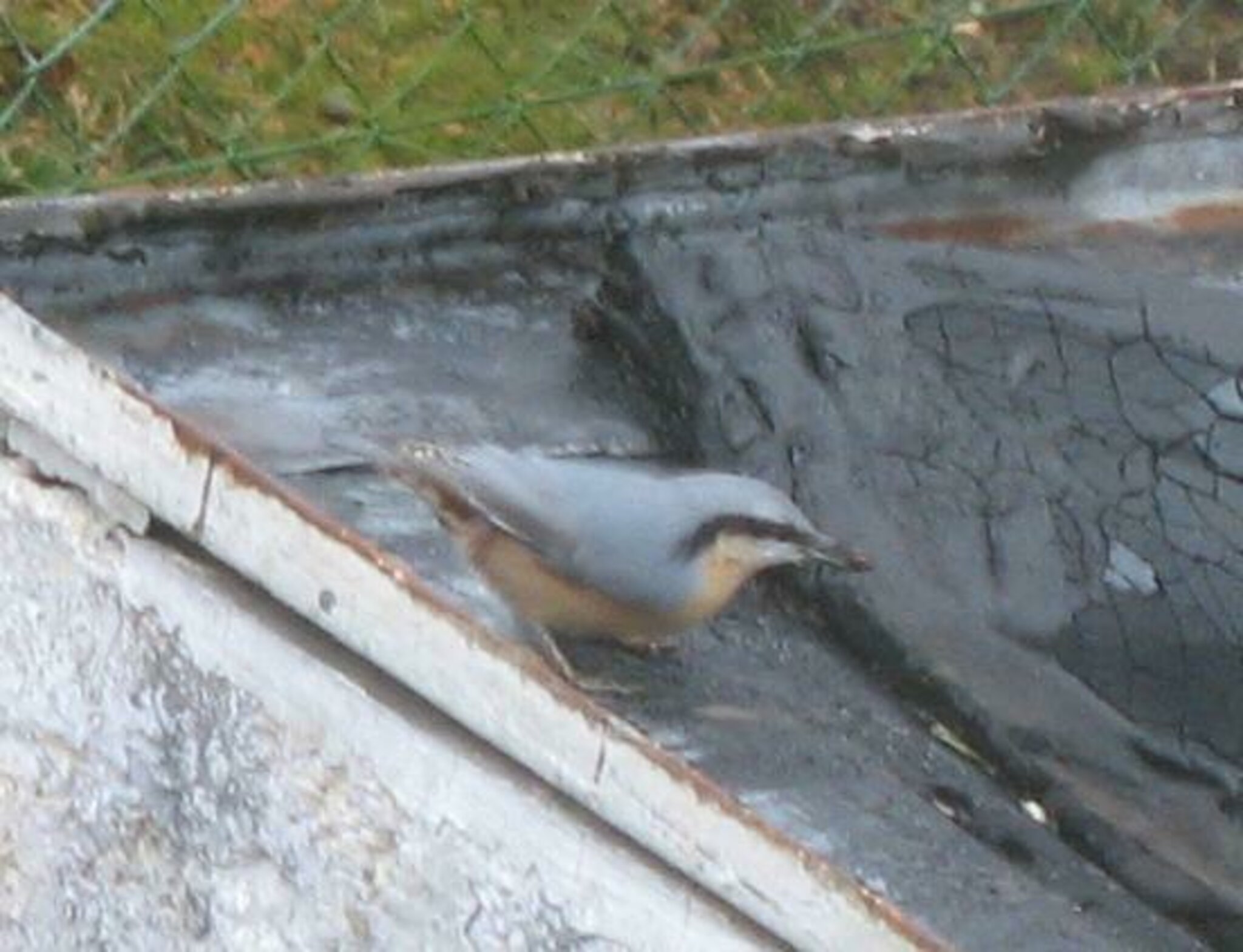 Herbst in Waldperlach, Teil 37 - München