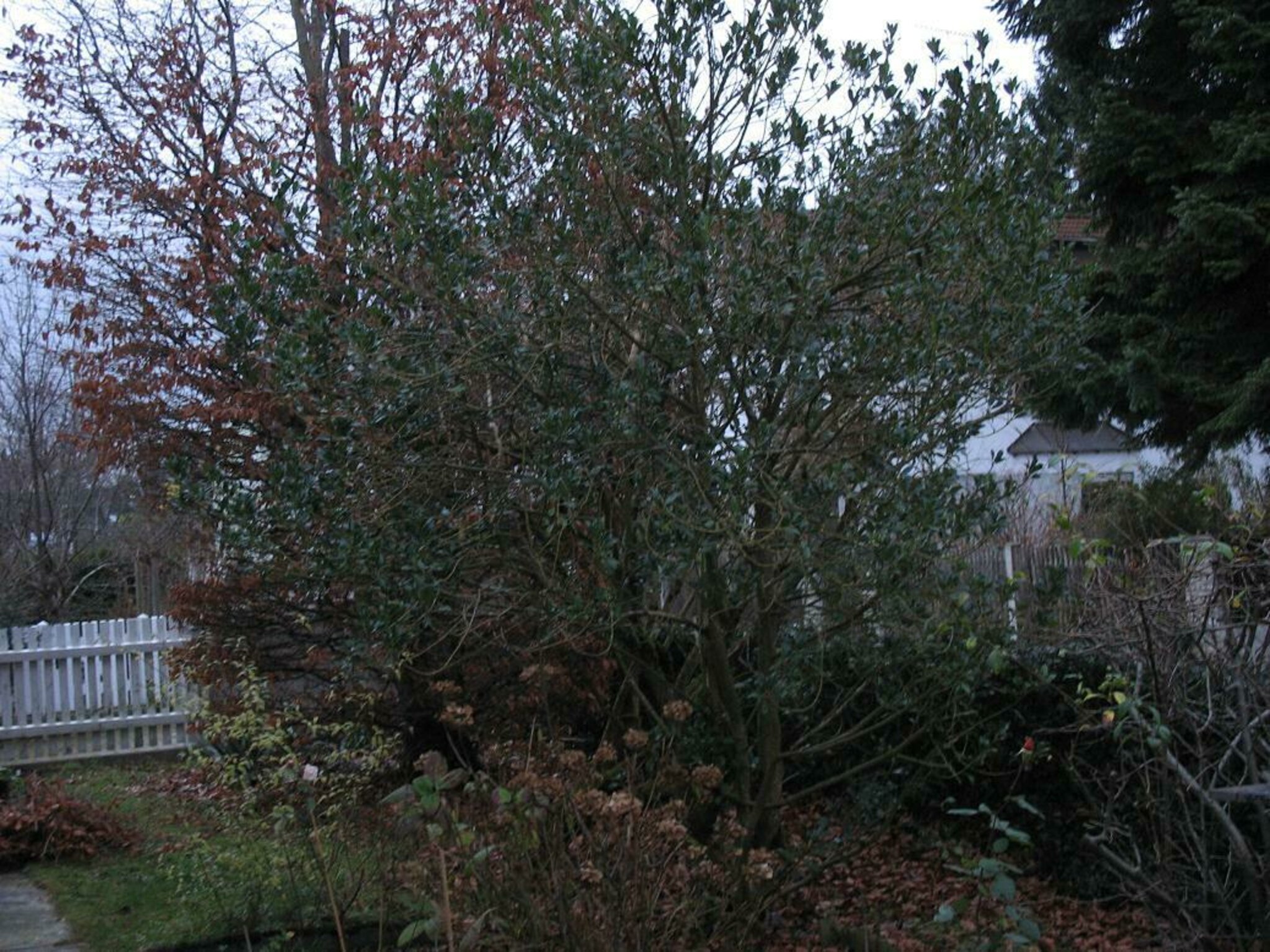 Herbst in Waldperlach, Teil 83 - München