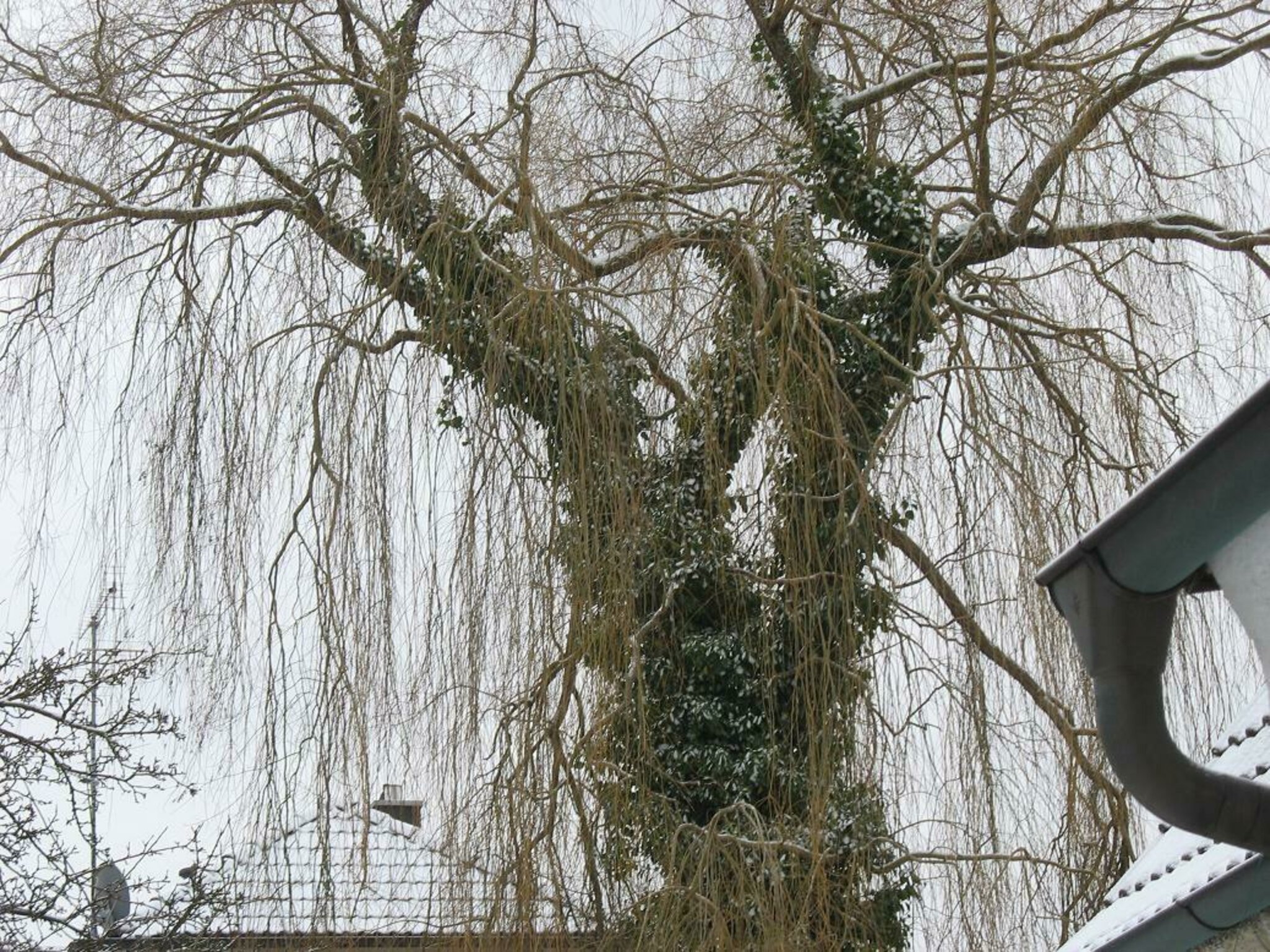 Herbst in Waldperlach, Teil 87 - München