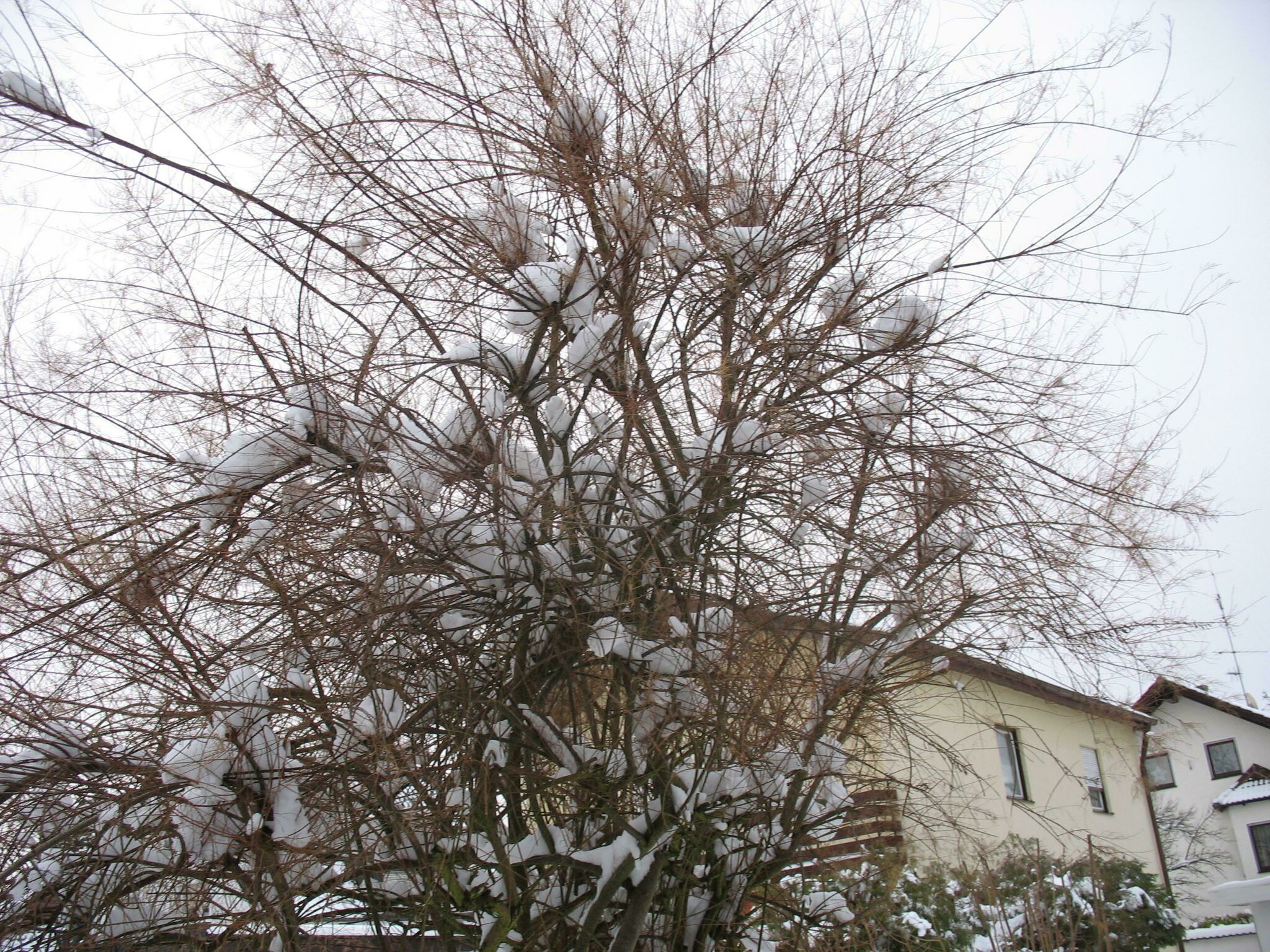 Winter in Waldperlach, Teil 5 - München