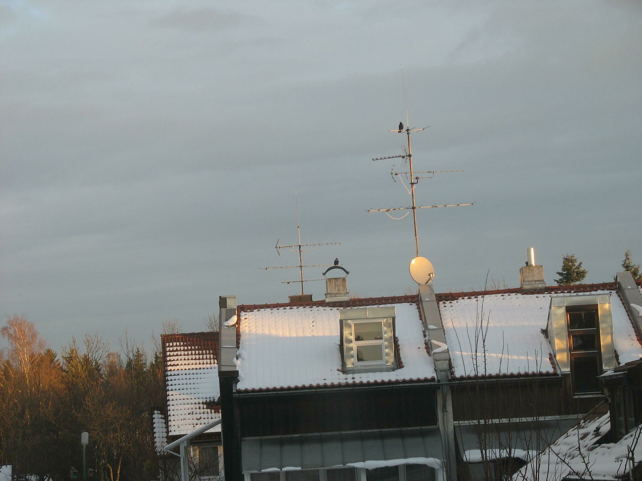 Winter in Waldperlach, Teil 7 - München