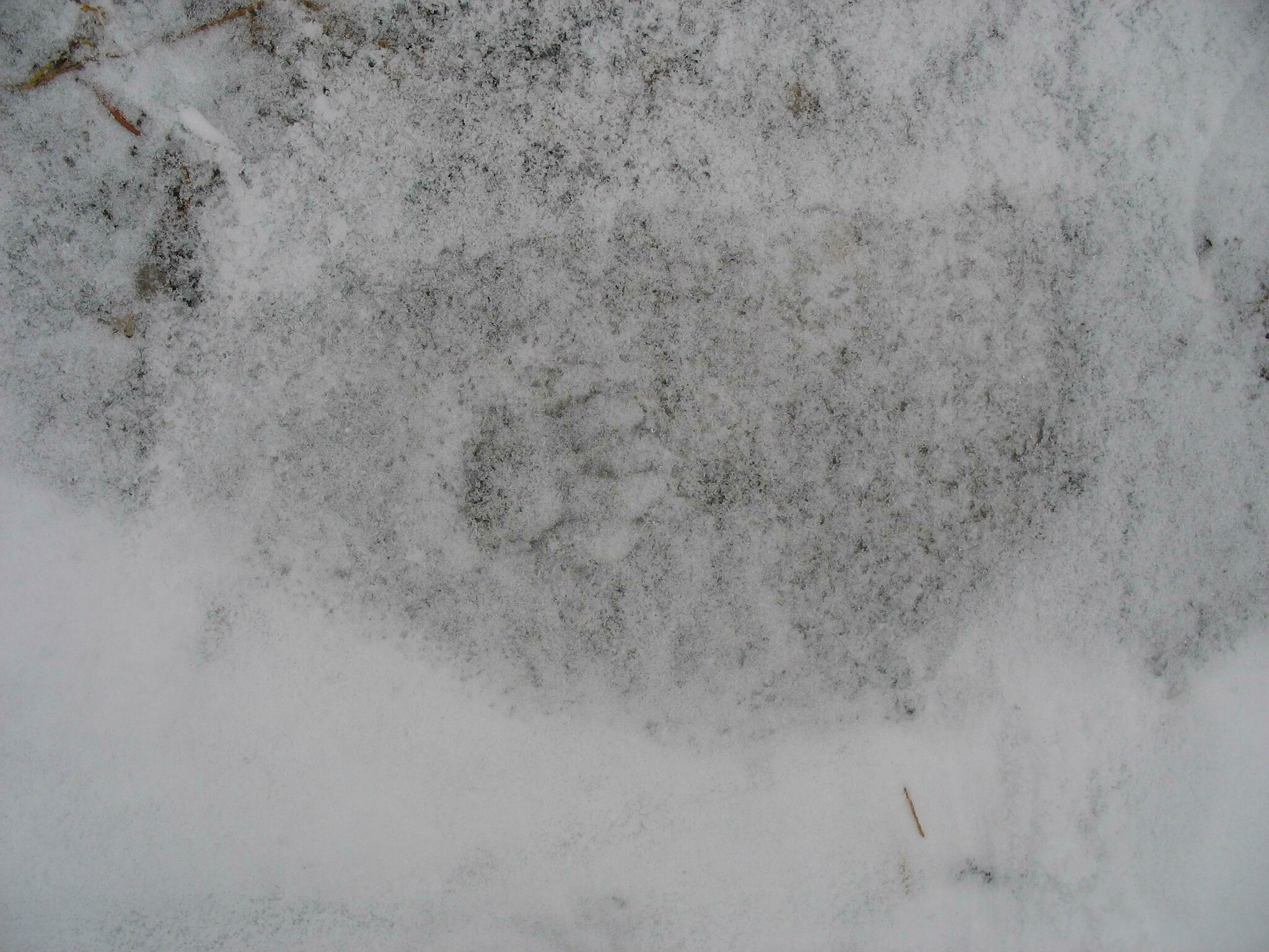 Winter in Waldperlach, Teil 25 - München