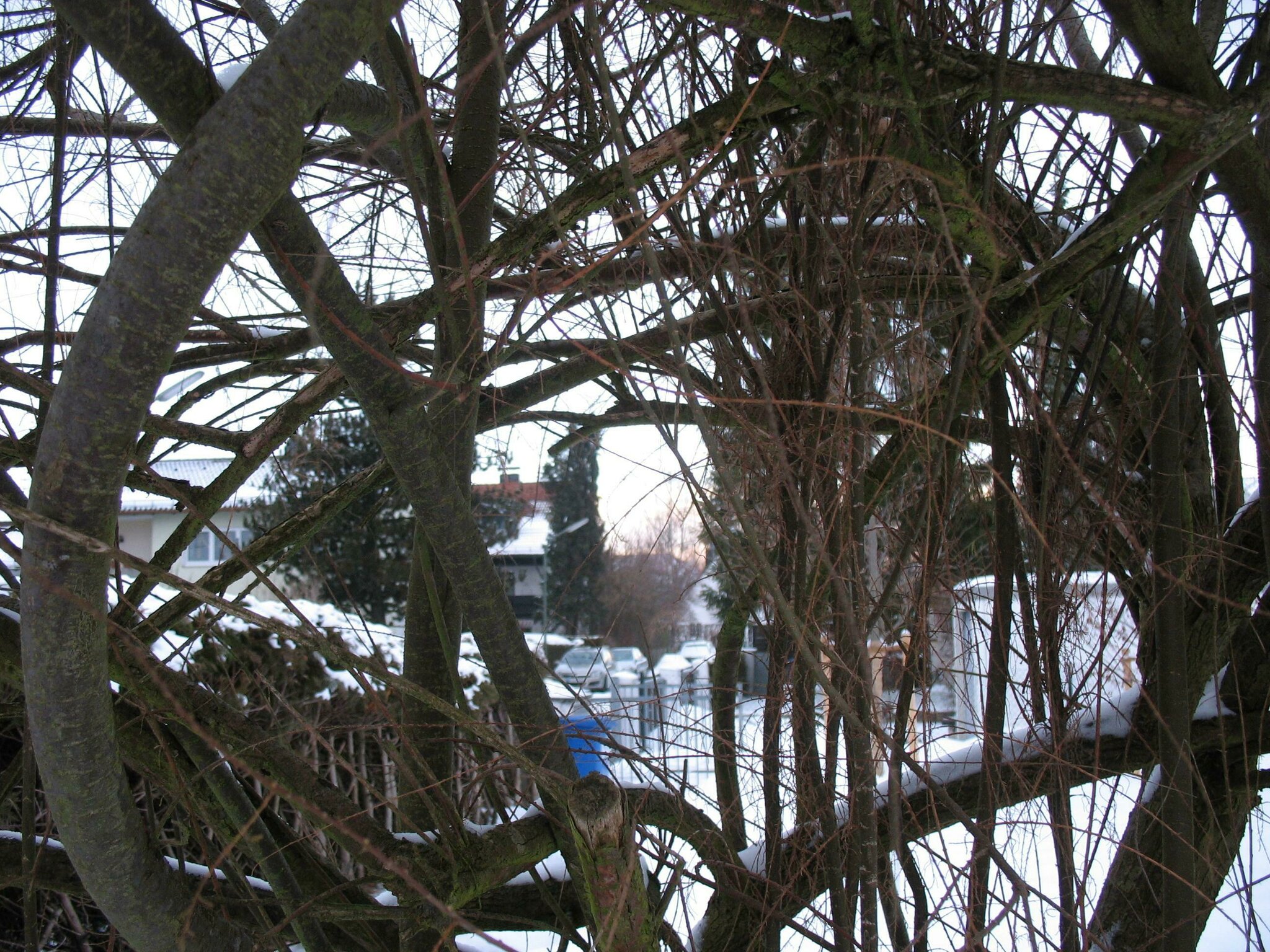 Winter in Waldperlach, Teil 28 - München