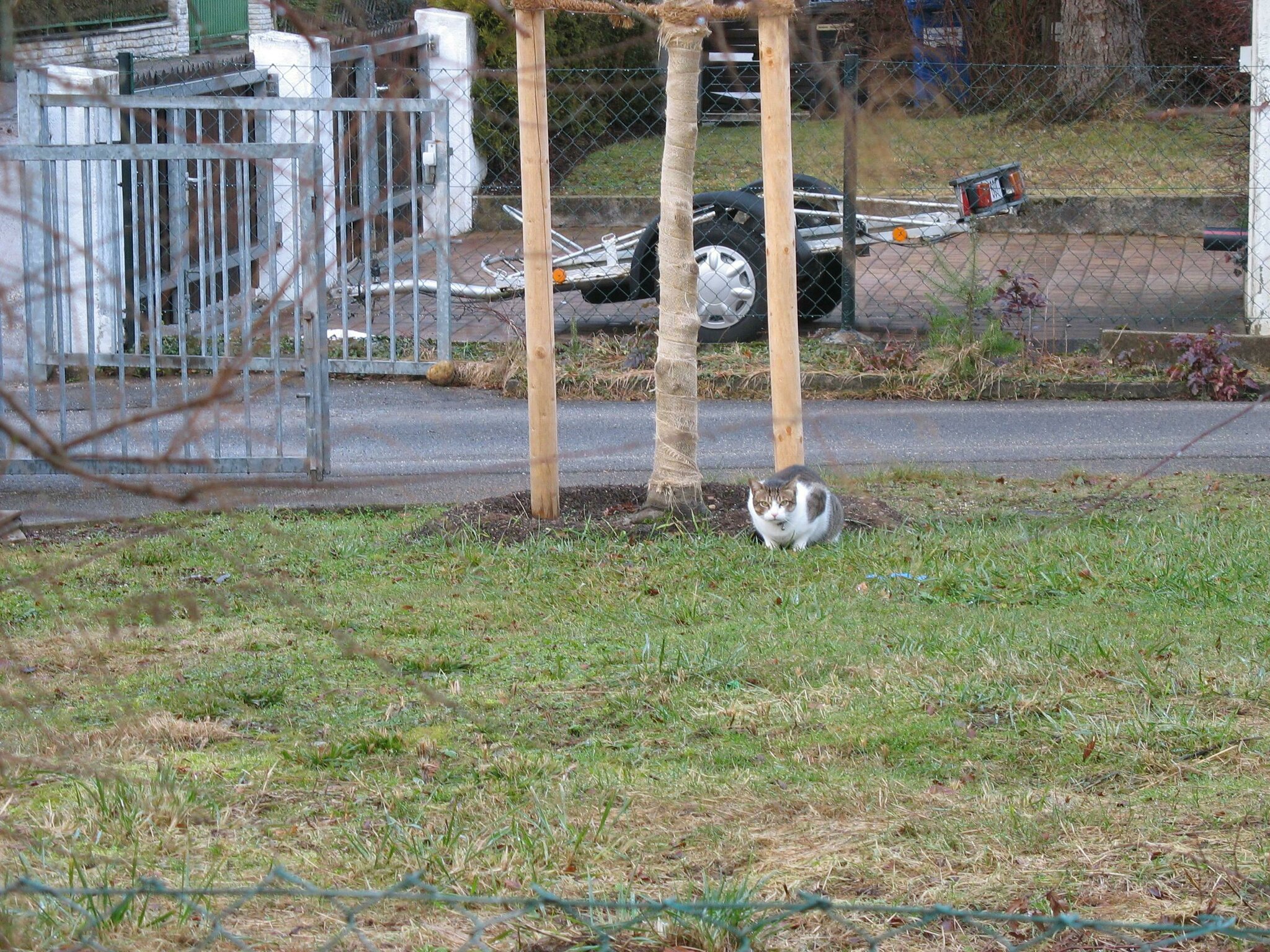 Winter in Waldperlach, Teil 50 - München