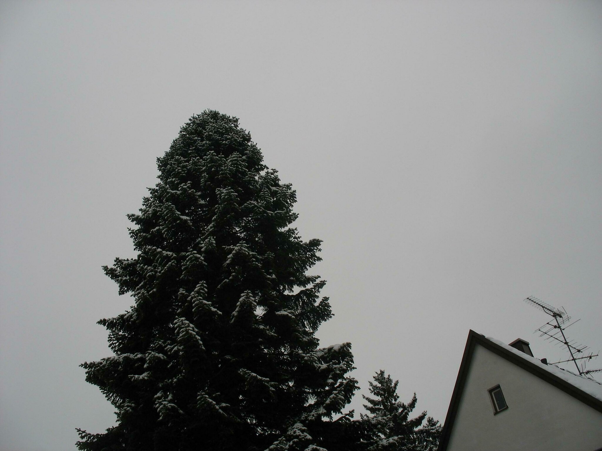 Winter in Waldperlach, Teil 58 - München