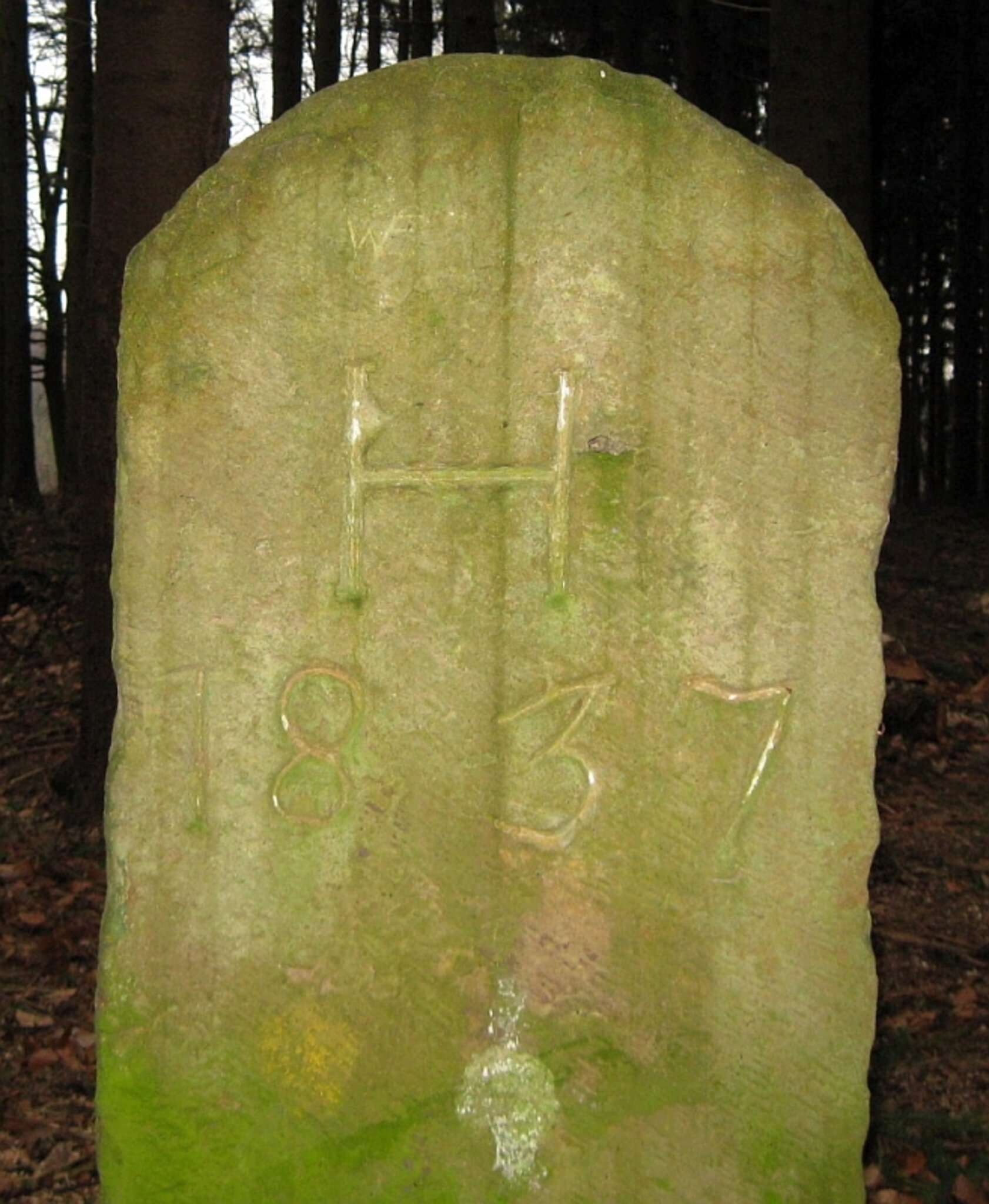 Grenzsteine im Stemweder Berg - Stemwede