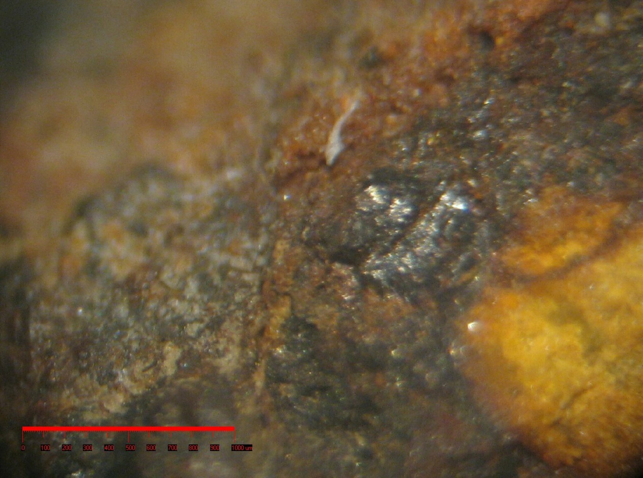 Mikroskopaufnahme: Kohliger Chondrit NWA 801 - München