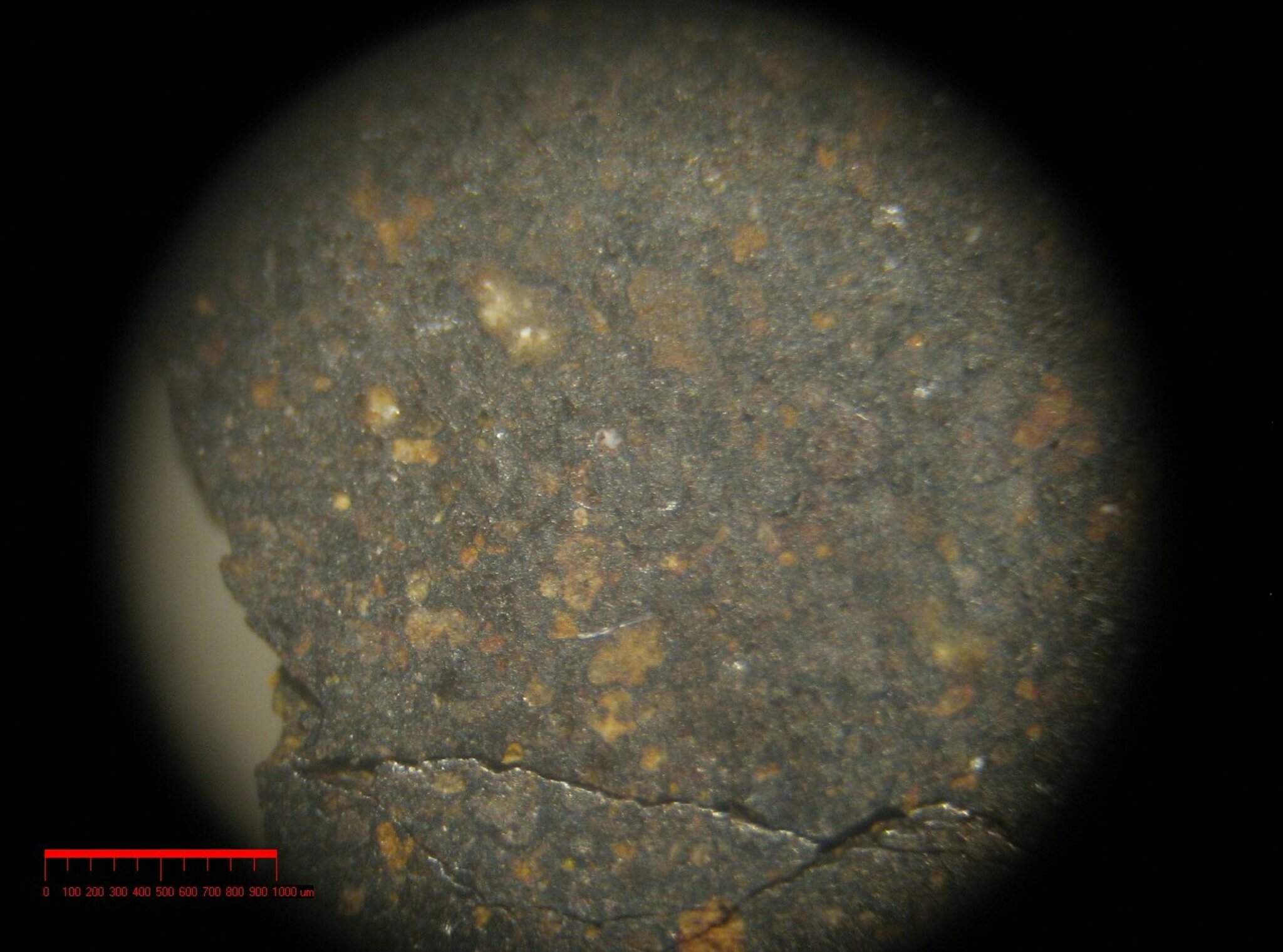 Mikroskopaufnahme: Kohliger Chondrit NWA 2918 - München