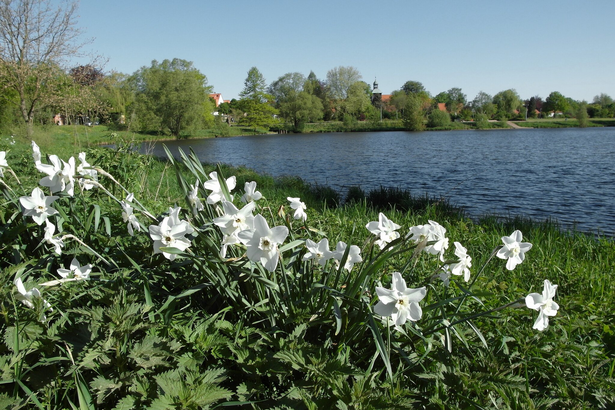 Ein Frühlingstag am idyllisch gelegenen Klostersee - Walsrode