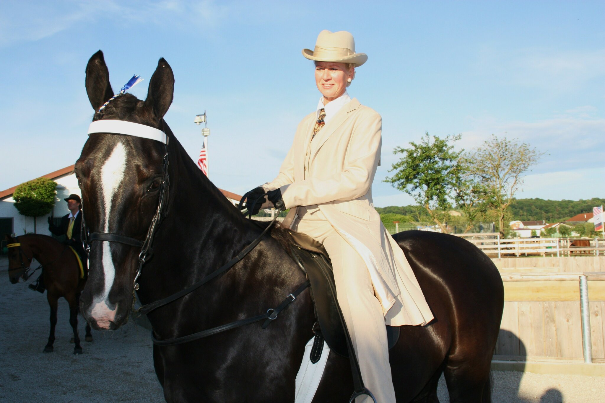 Deutsche Meisterschaft der "Tennessee Walking Horses" (Wemding ...