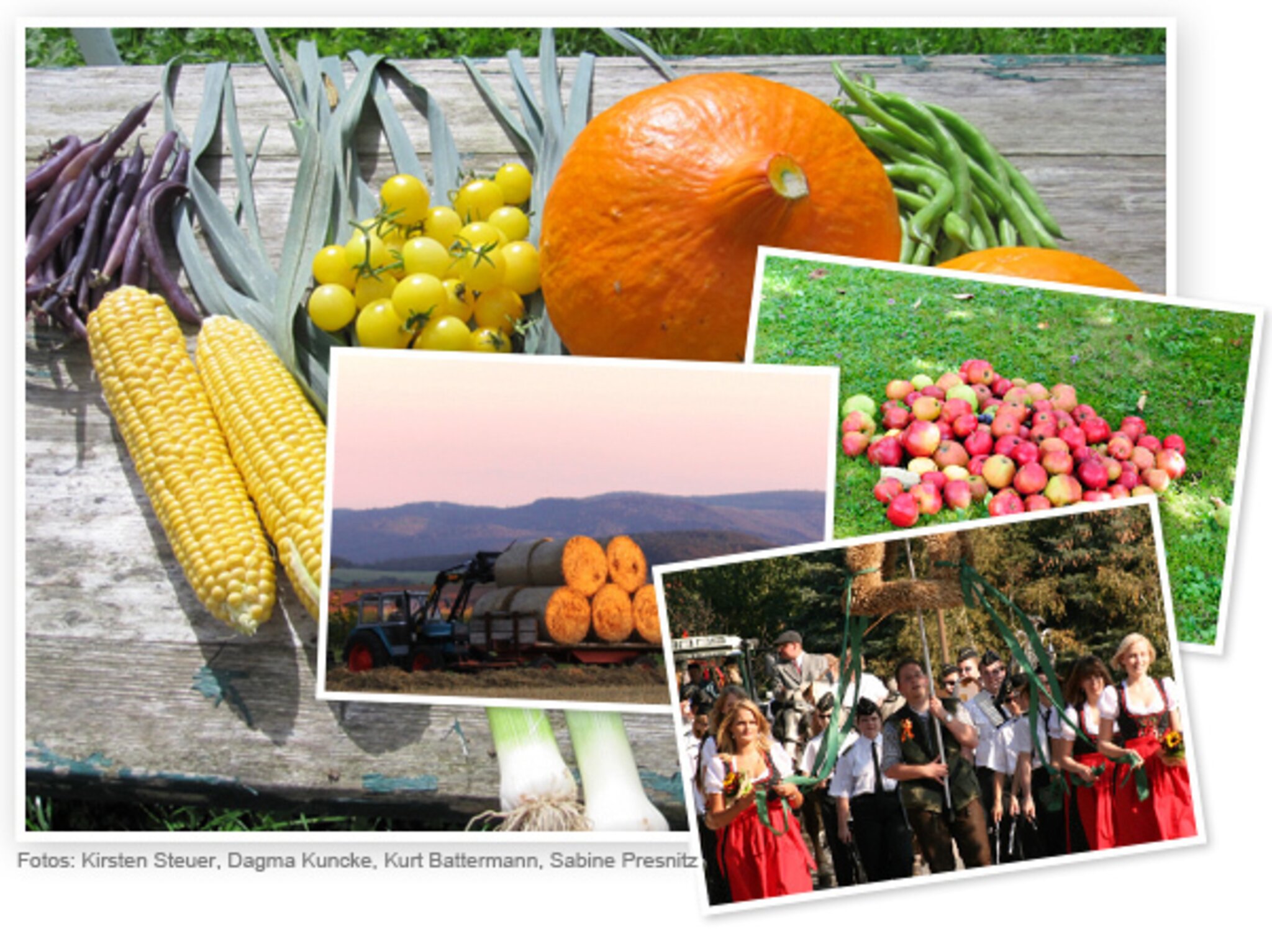 myheimat-Fotowettbewerb zur Erntezeit: Wir suchen eure schönsten Fotos ...