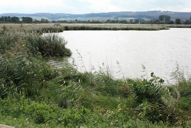 Rundgang ums Schweinsberger Moor - Stadtallendorf