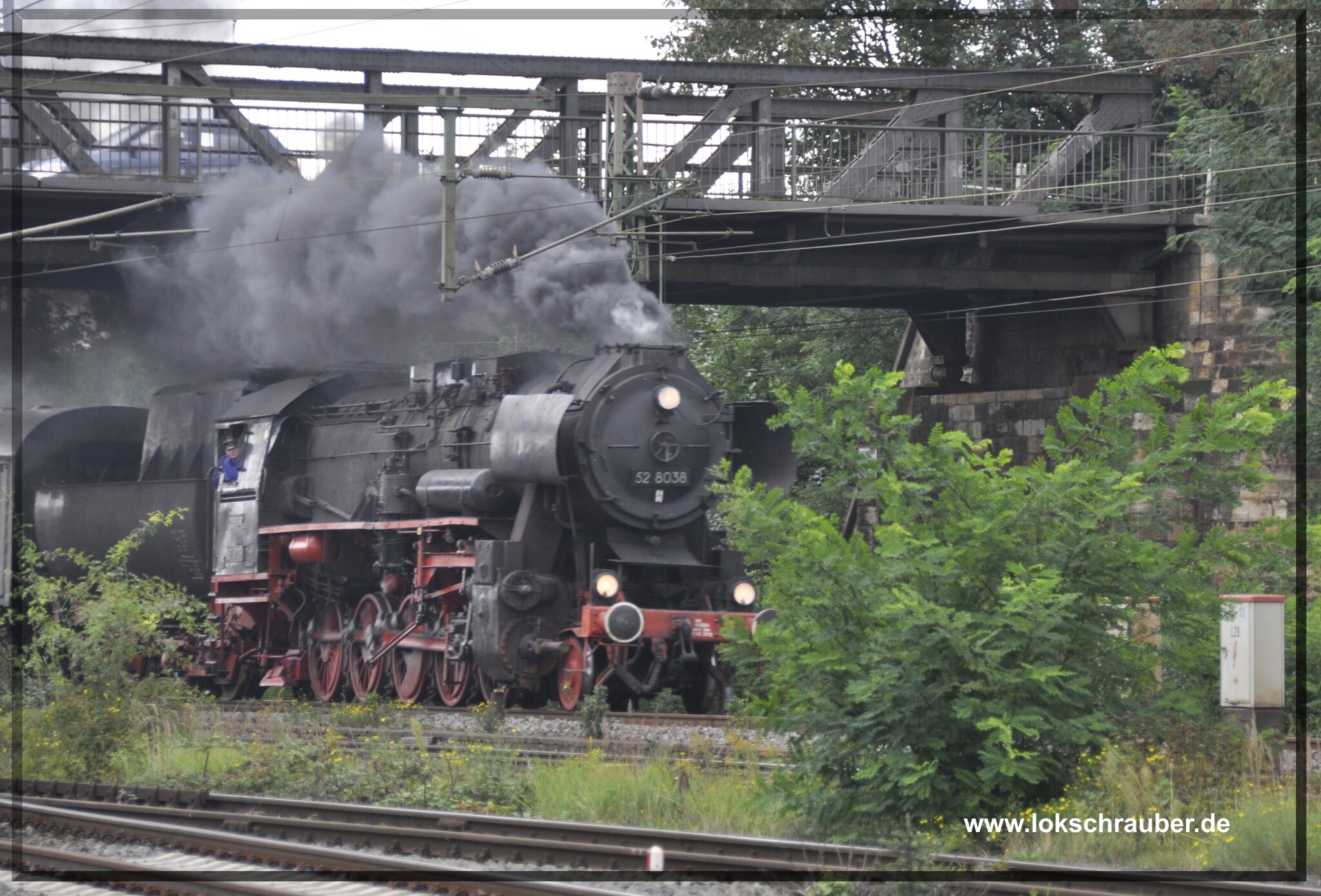 Dampflok 52 8038 mit Volldampf nach Seelze - Seelze