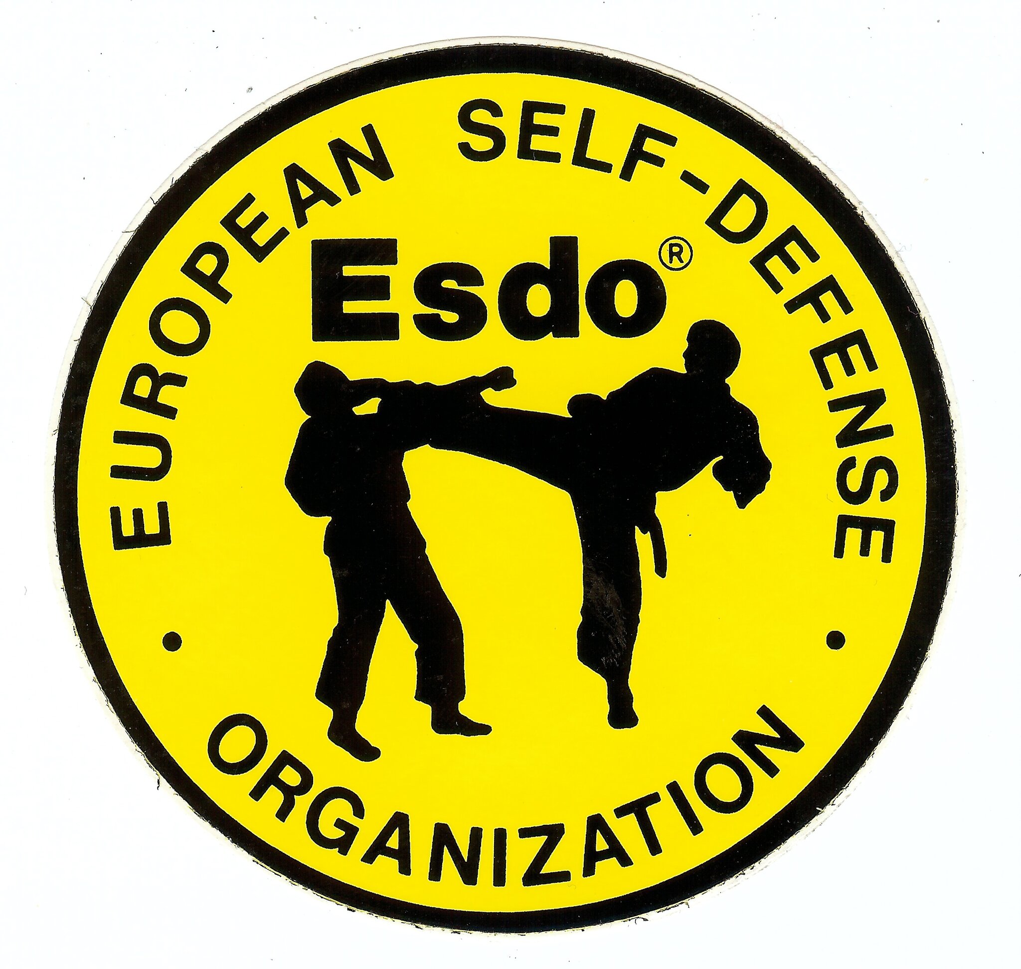 ESDO-Sparte des Turnclub Bissendorf will Jugendgruppe gründen - Wedemark