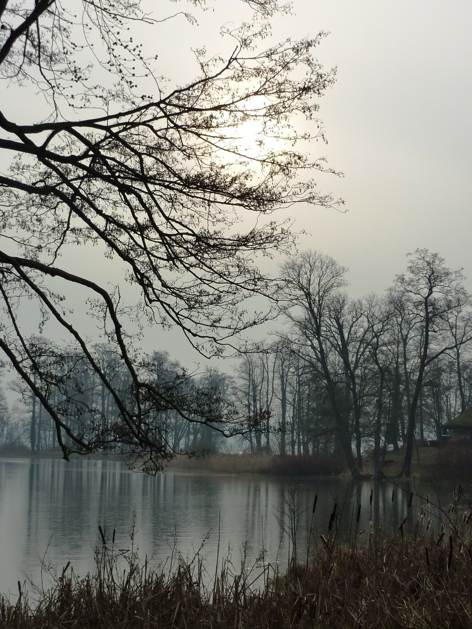 Drei Tage im Lenné-Park in Petzow am Schwielowsee: Jeder frostige ...