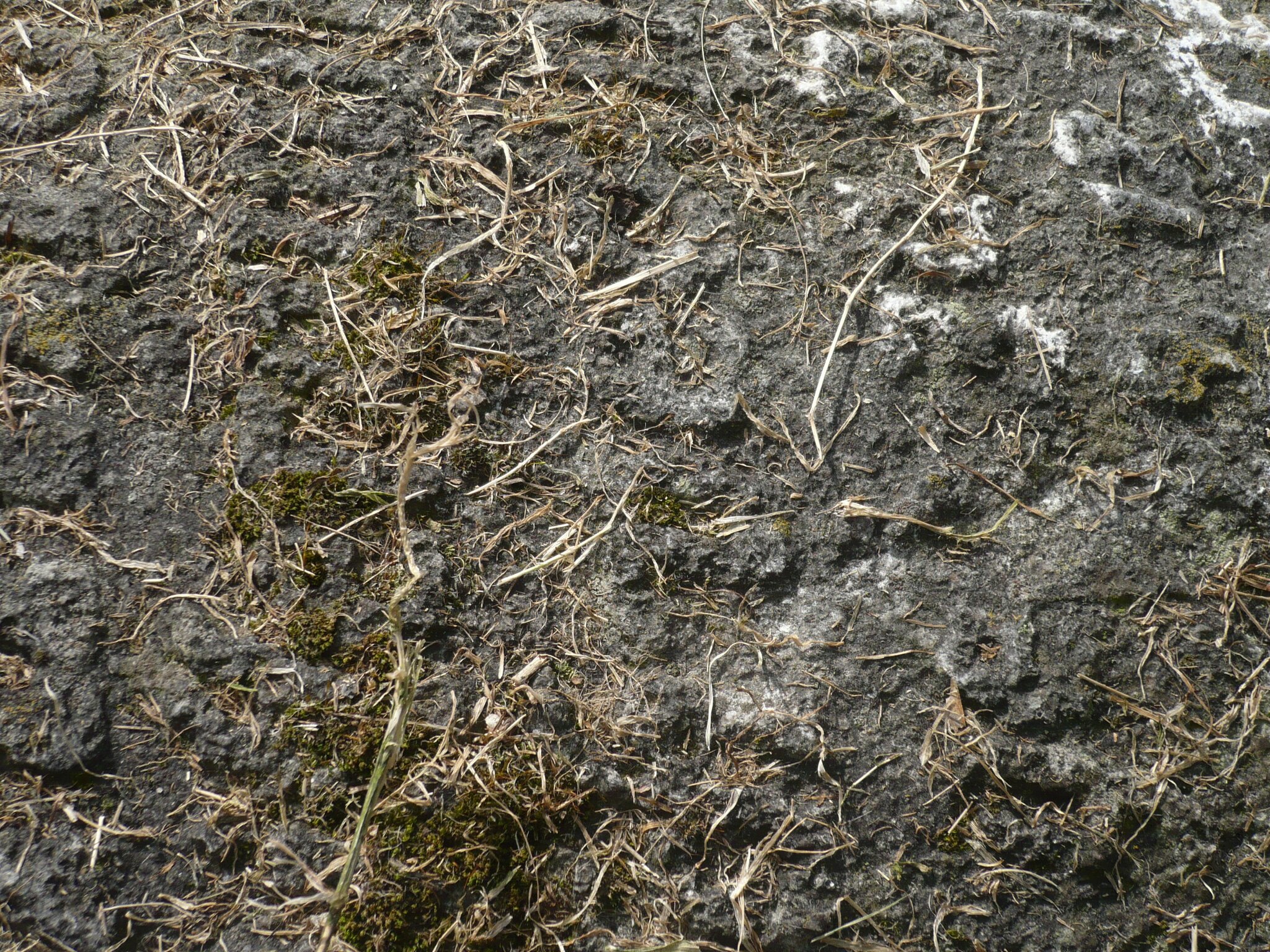 Vergraben und vergessen- - Essen