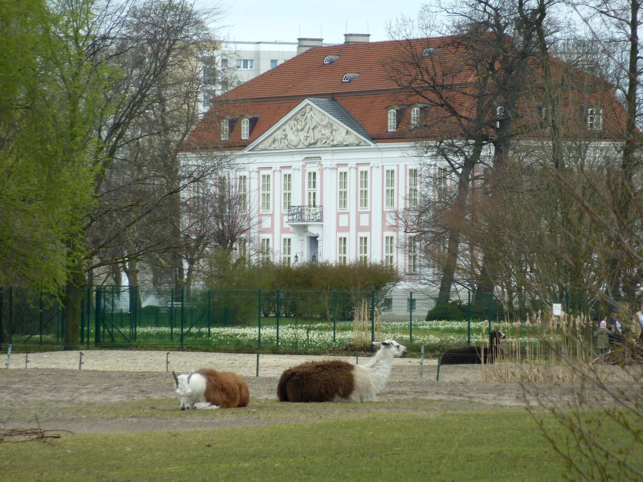 Dieser Schlosspark ist zugleich ein Tierpark: Schloss Friedrichsfelde ...