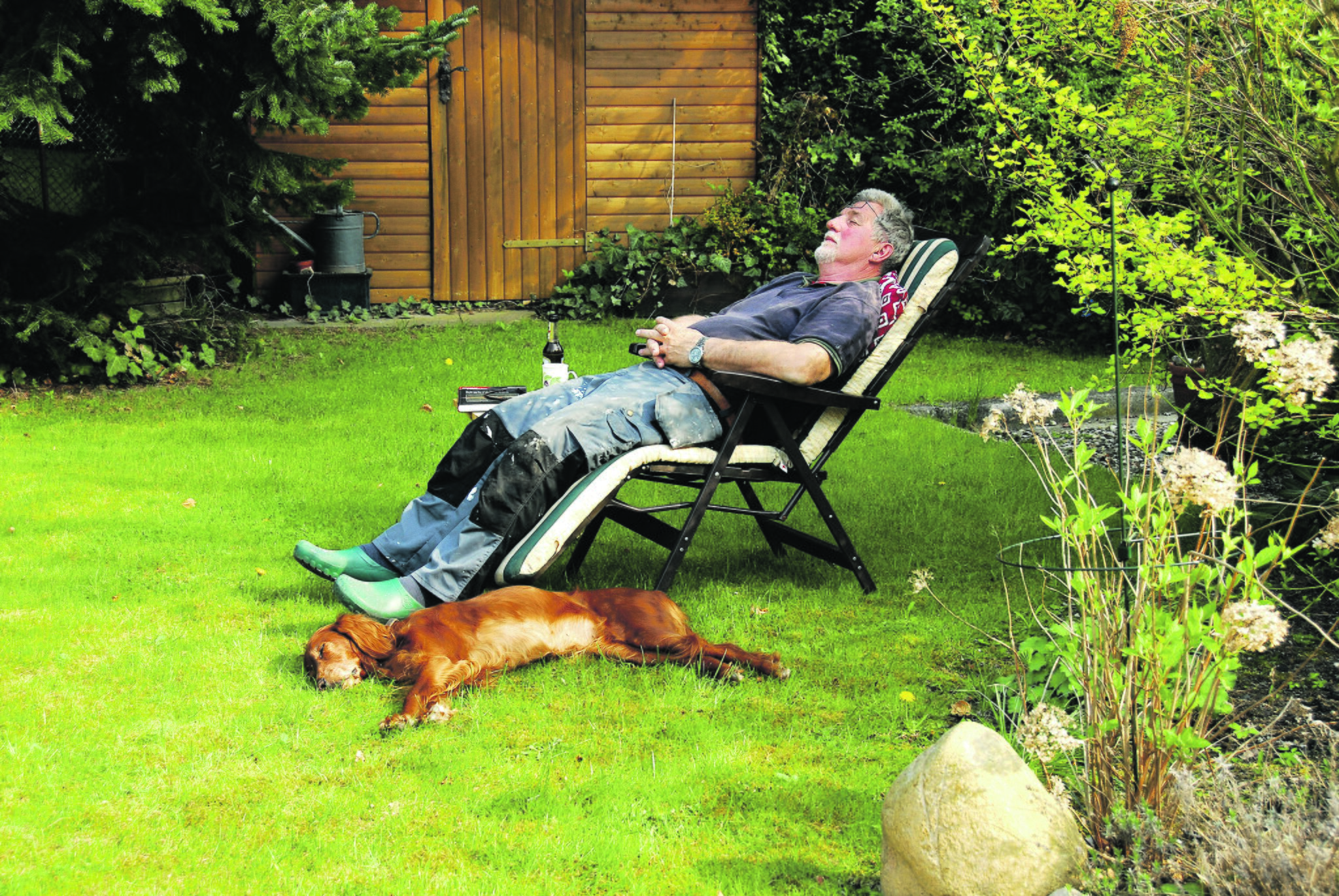 Fotowettbewerb "Meine Garten-Oase": Diese Bilder stehen zur Wahl ...