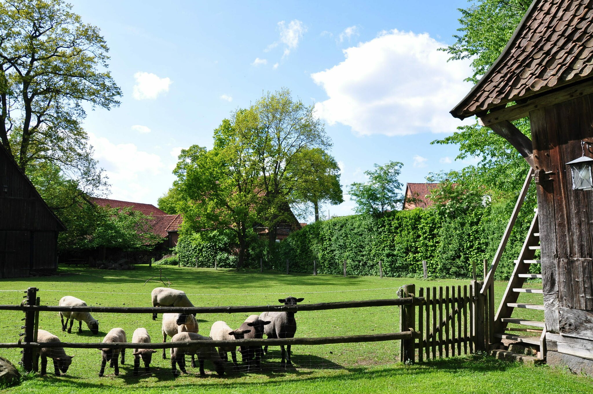 Im Detail - Elze im Burgdorfer Land - Wedemark