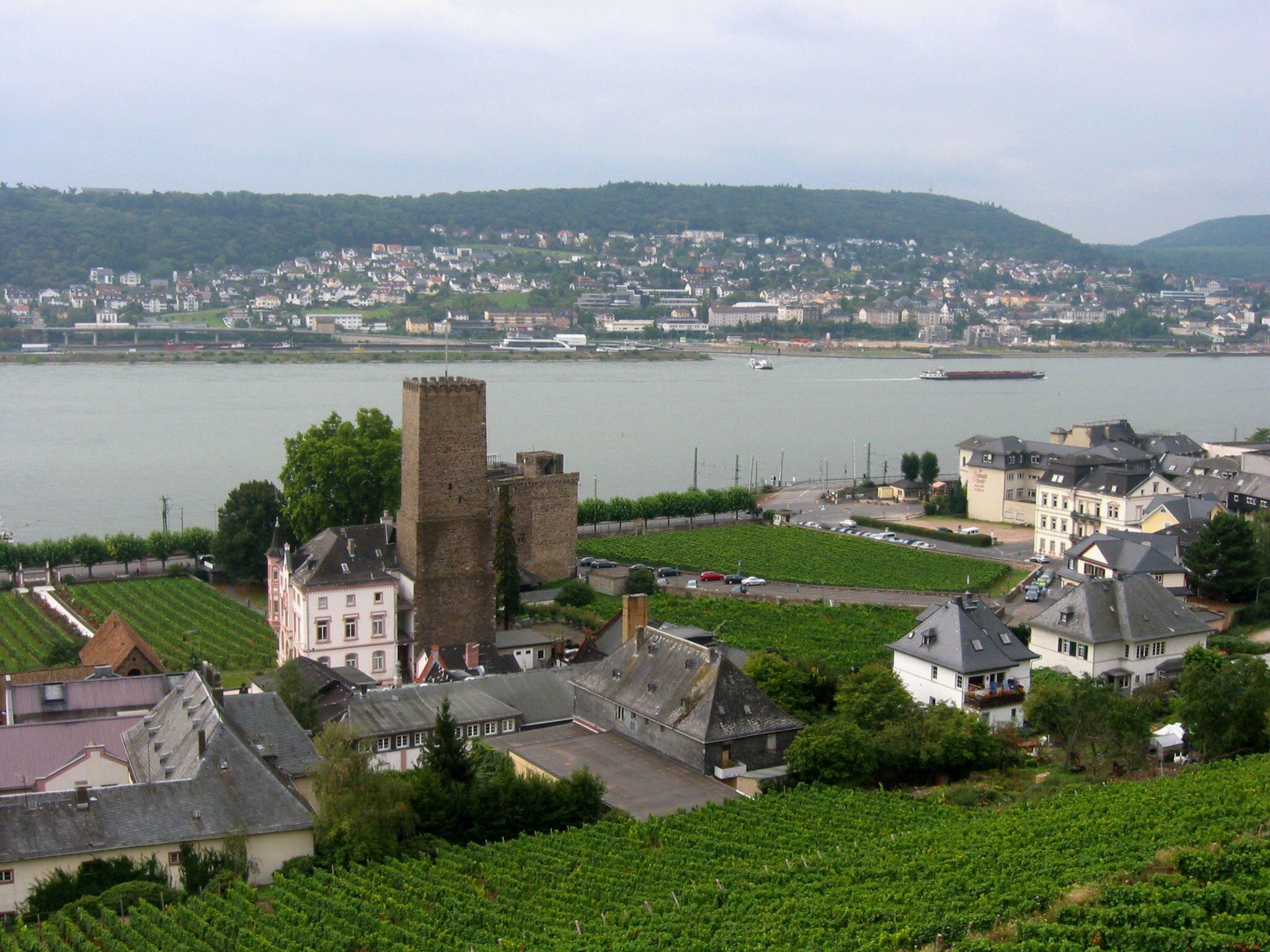Wanderung um das Niederwald-Denkmal Rüdesheim - Rüdesheim am Rhein