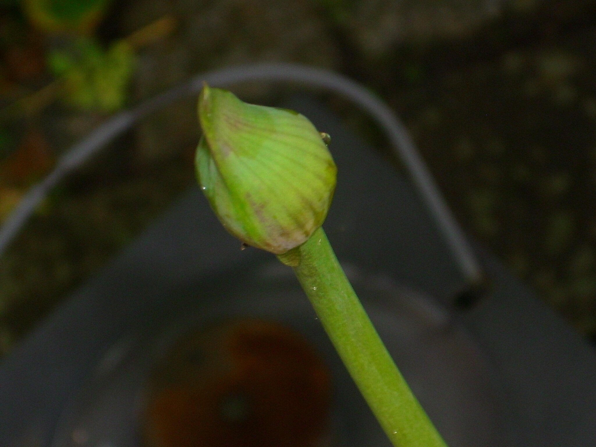 Zufriedenheit oder wie man den Moment erleben könnte.... - Fronhausen