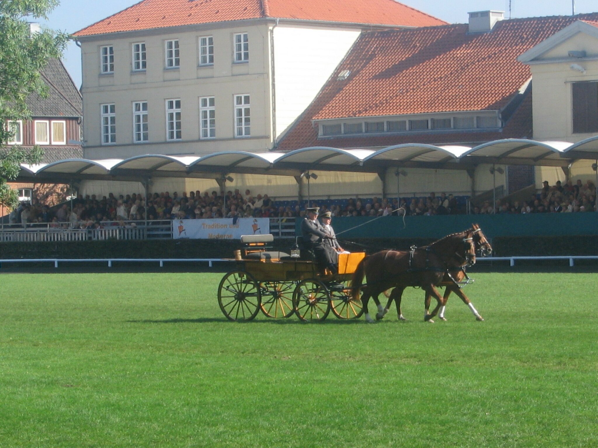 Ausflugsziel: Celler Hengstparade - Celle