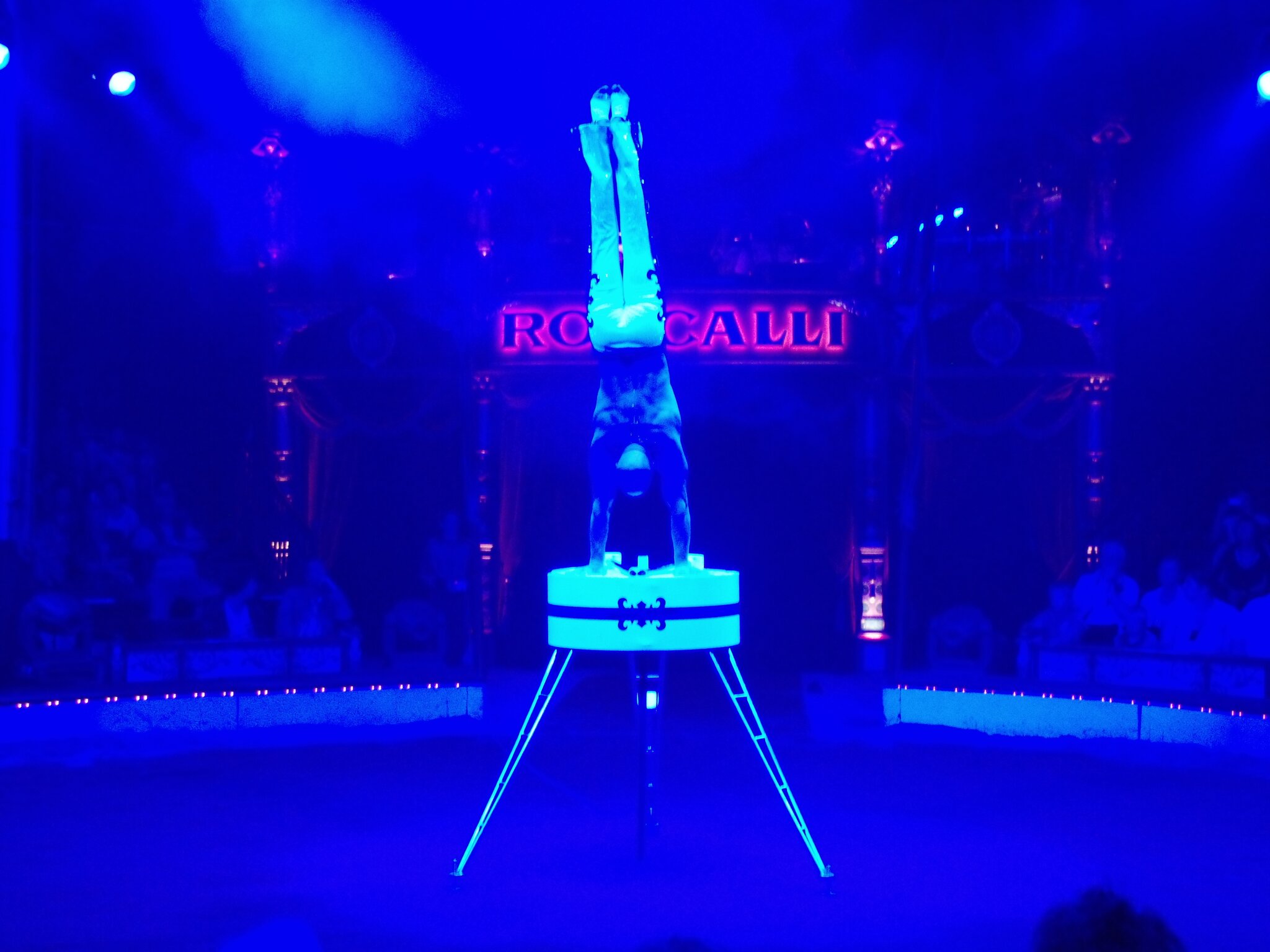 Encho Keryazov (Kraft Akrobatik) - Hannover-Calenberger Neustadt