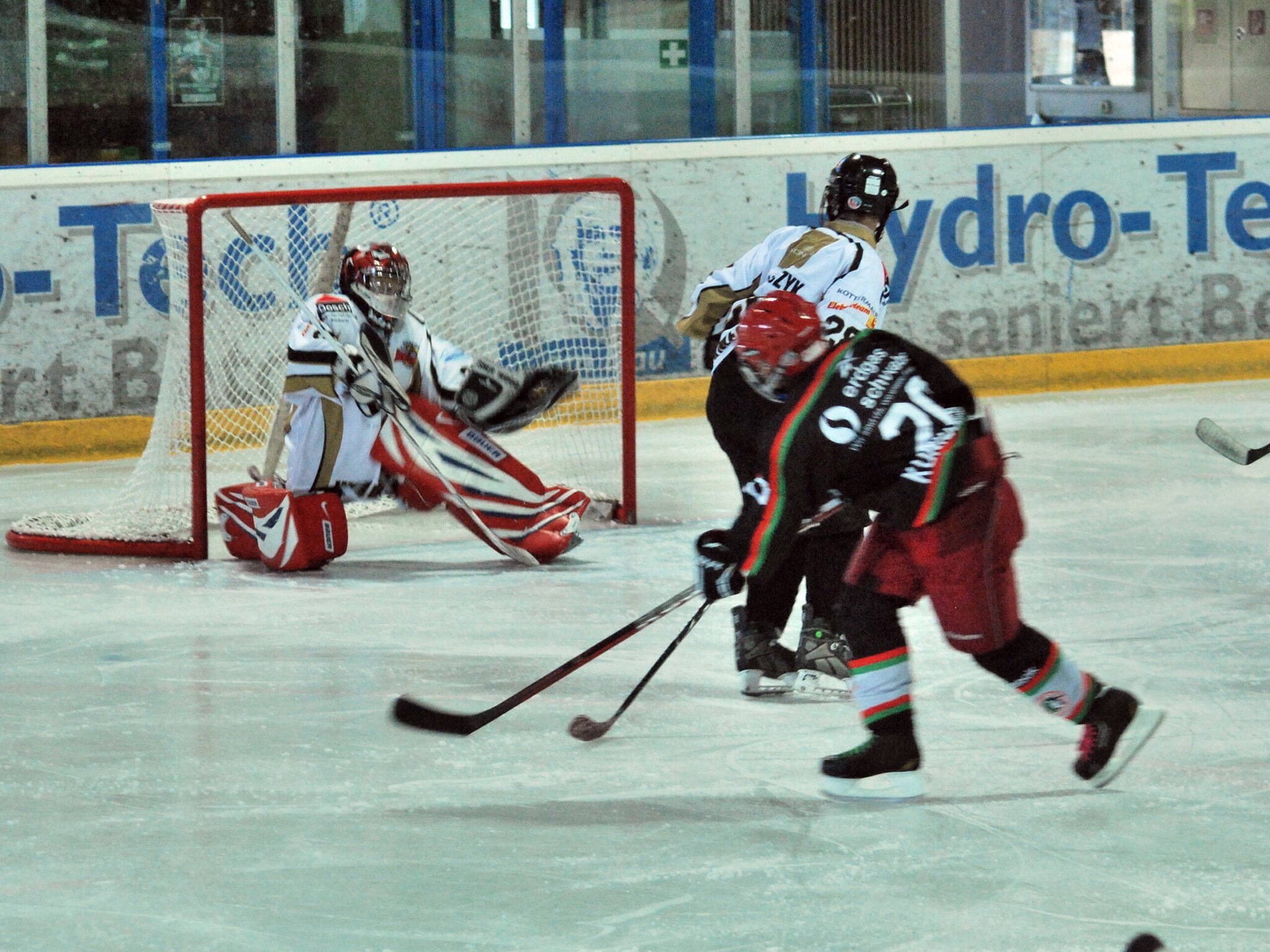 ESV Pinguin Knaben starten mit Top-Trainer Halusa in die neue Saison ...