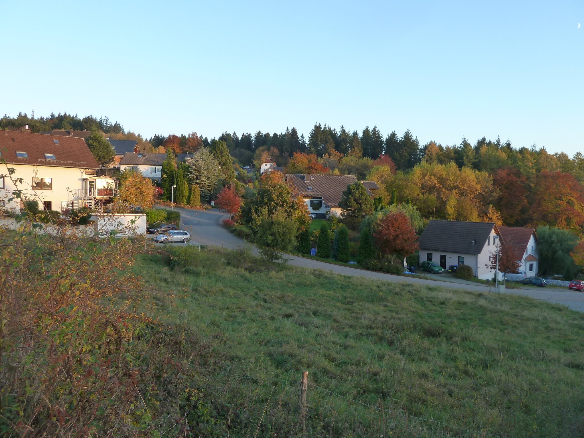Bad Grund: Bilderbuchlandschaft Taubenborn - Bad Grund (Harz)