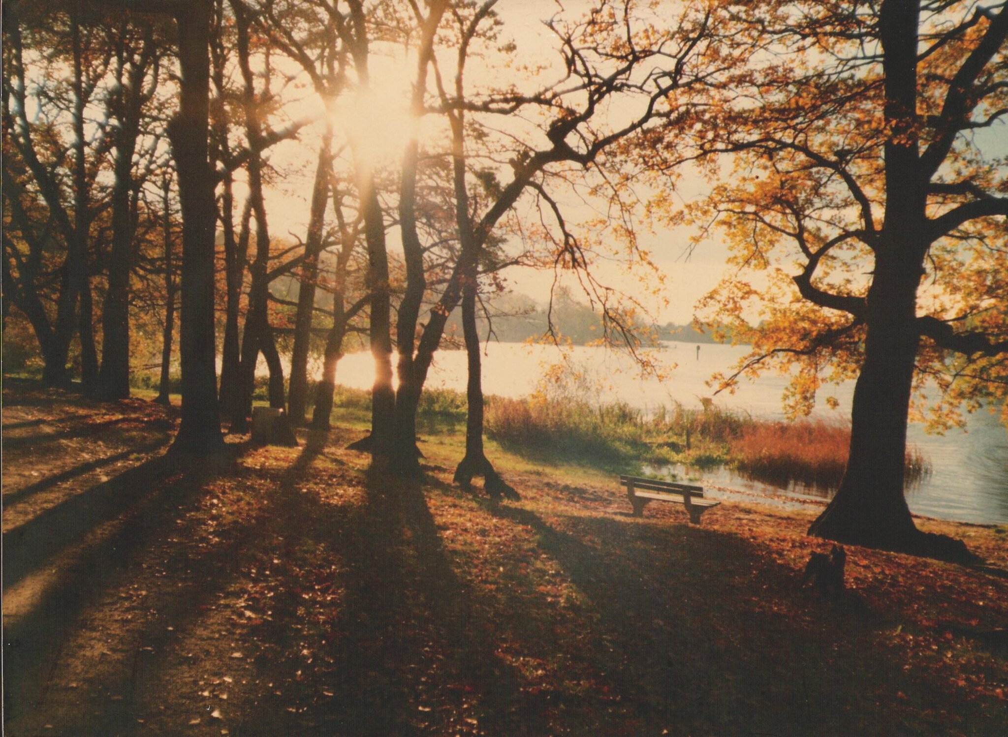 Herbstbild - Berlin